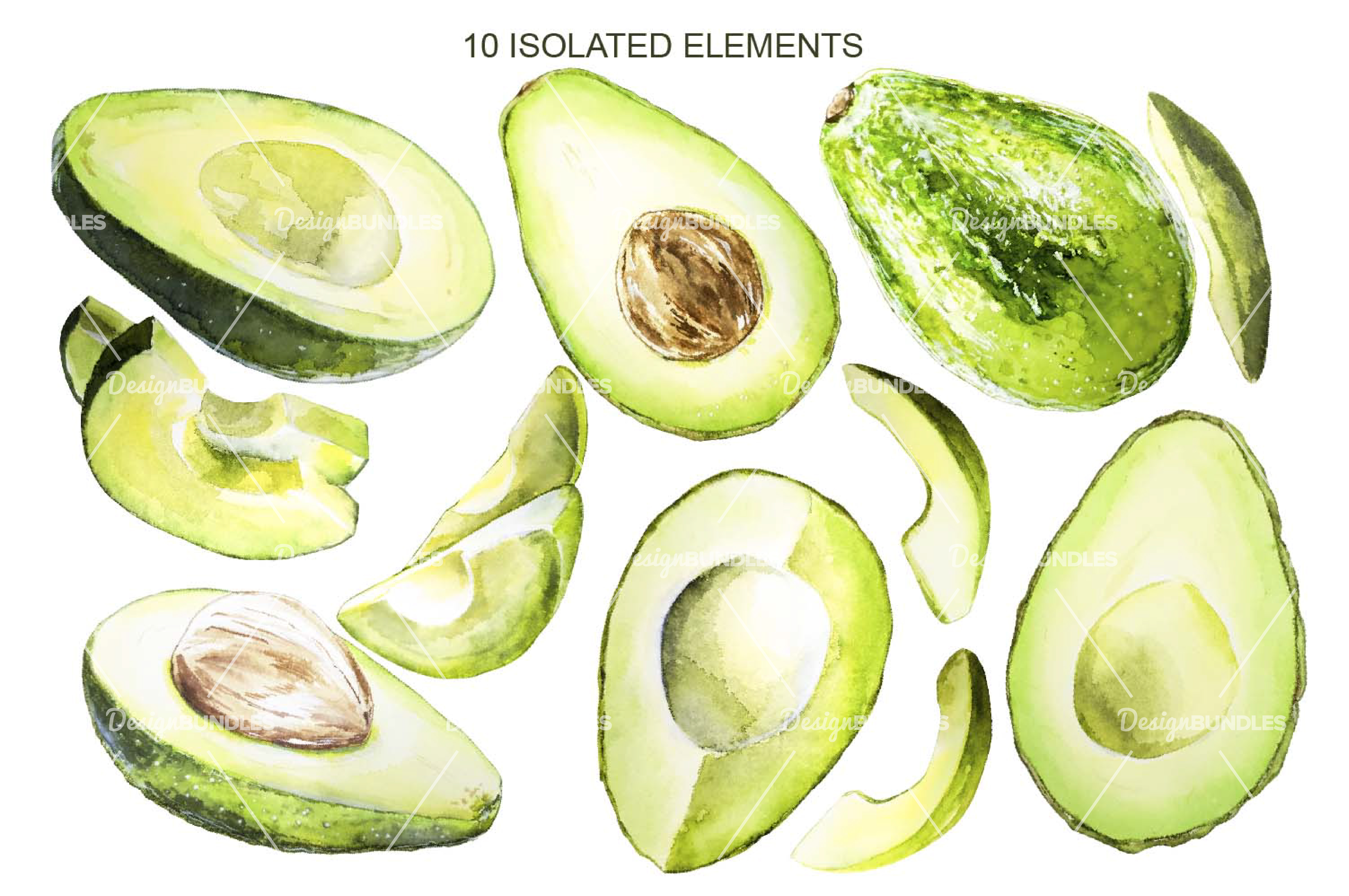 Go Avocado Design Set