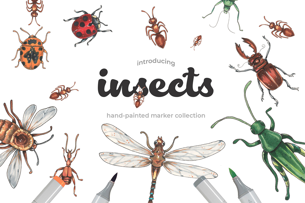 Insects Collection (130391) | Illustrations | Design Bundles