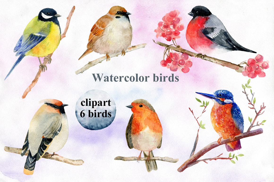 Watercolor birds. Clipart.