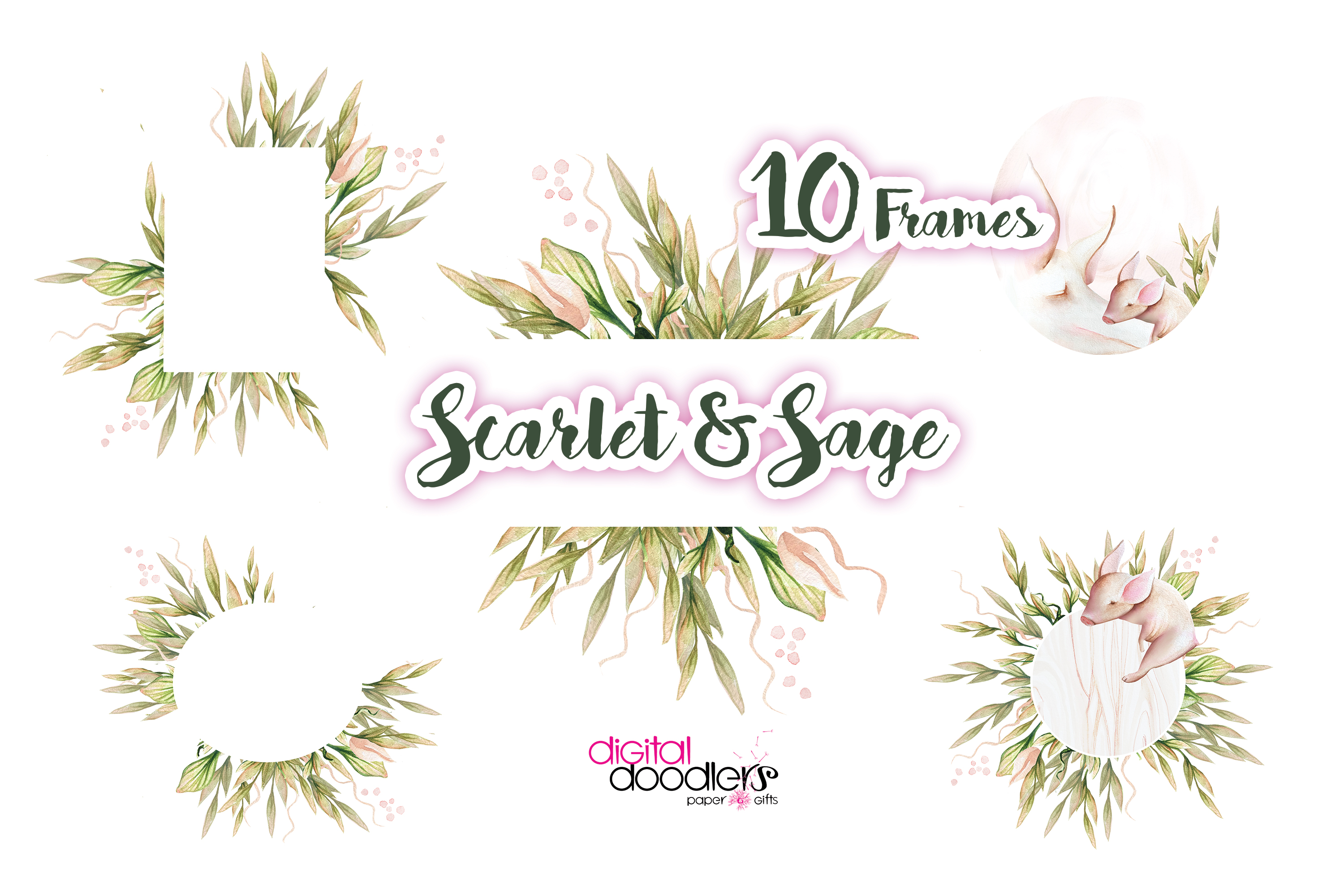 Scarlet & Sage Frames