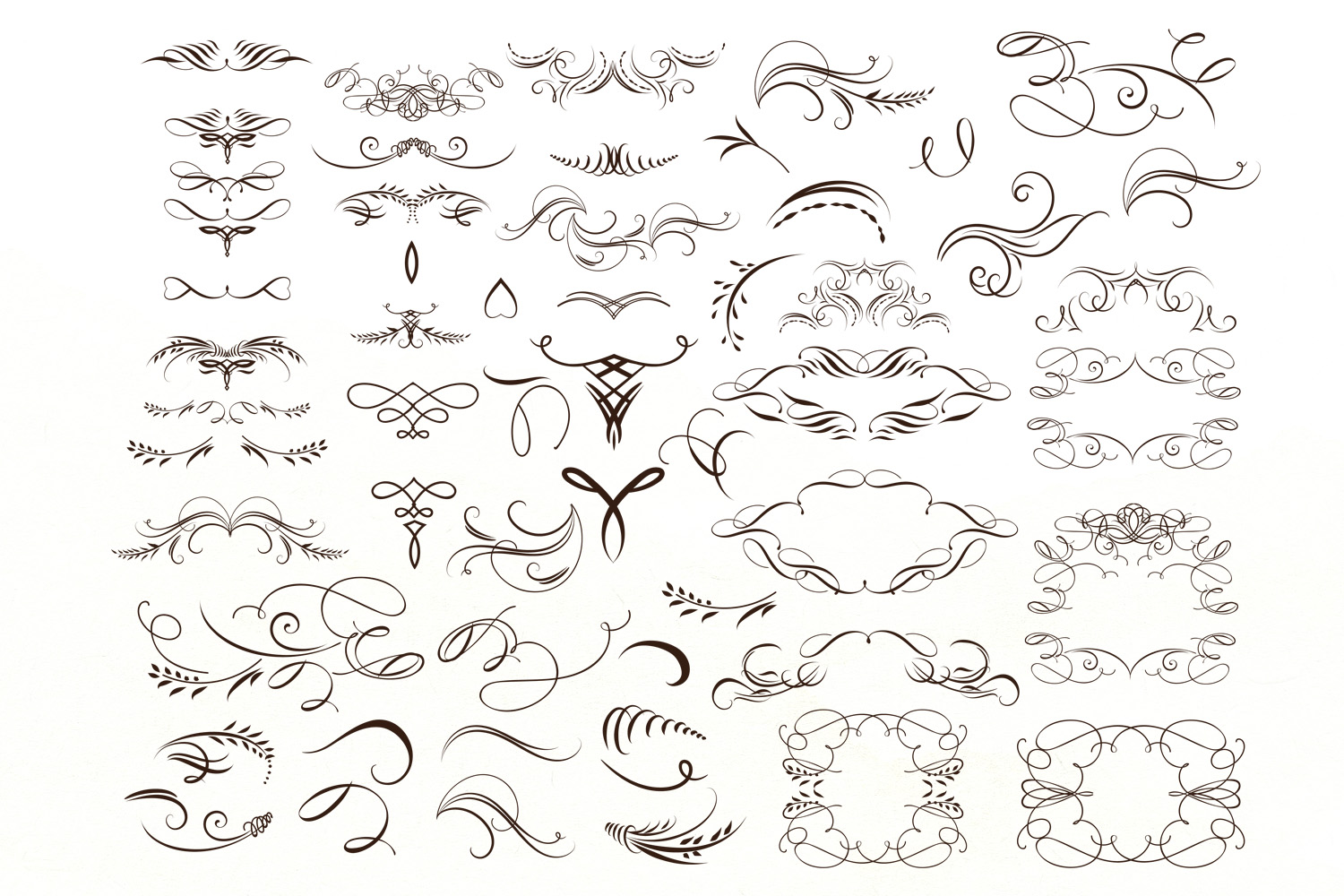 Bundle of vector rustic botanicals, frames and flourishes