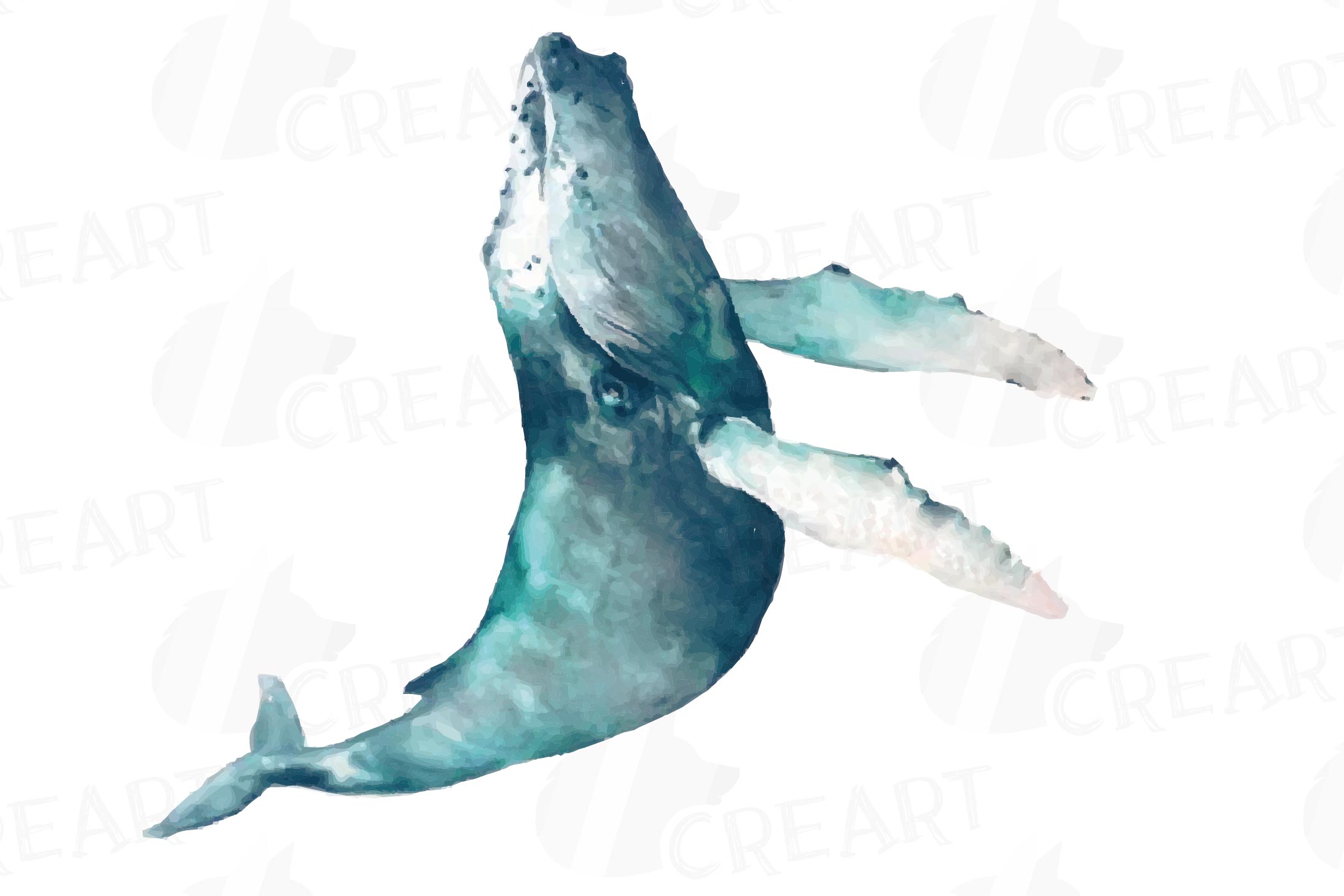 Watercolor humpback whale clip art pack, colorful whales