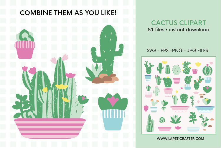 Cactus clipart, desert graphics, floral vector illustration