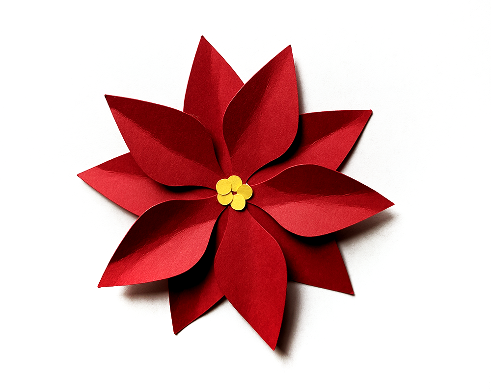 Christmas Poinsettia SVG File Cutting Template 79857 Cut Files Design Bundles
