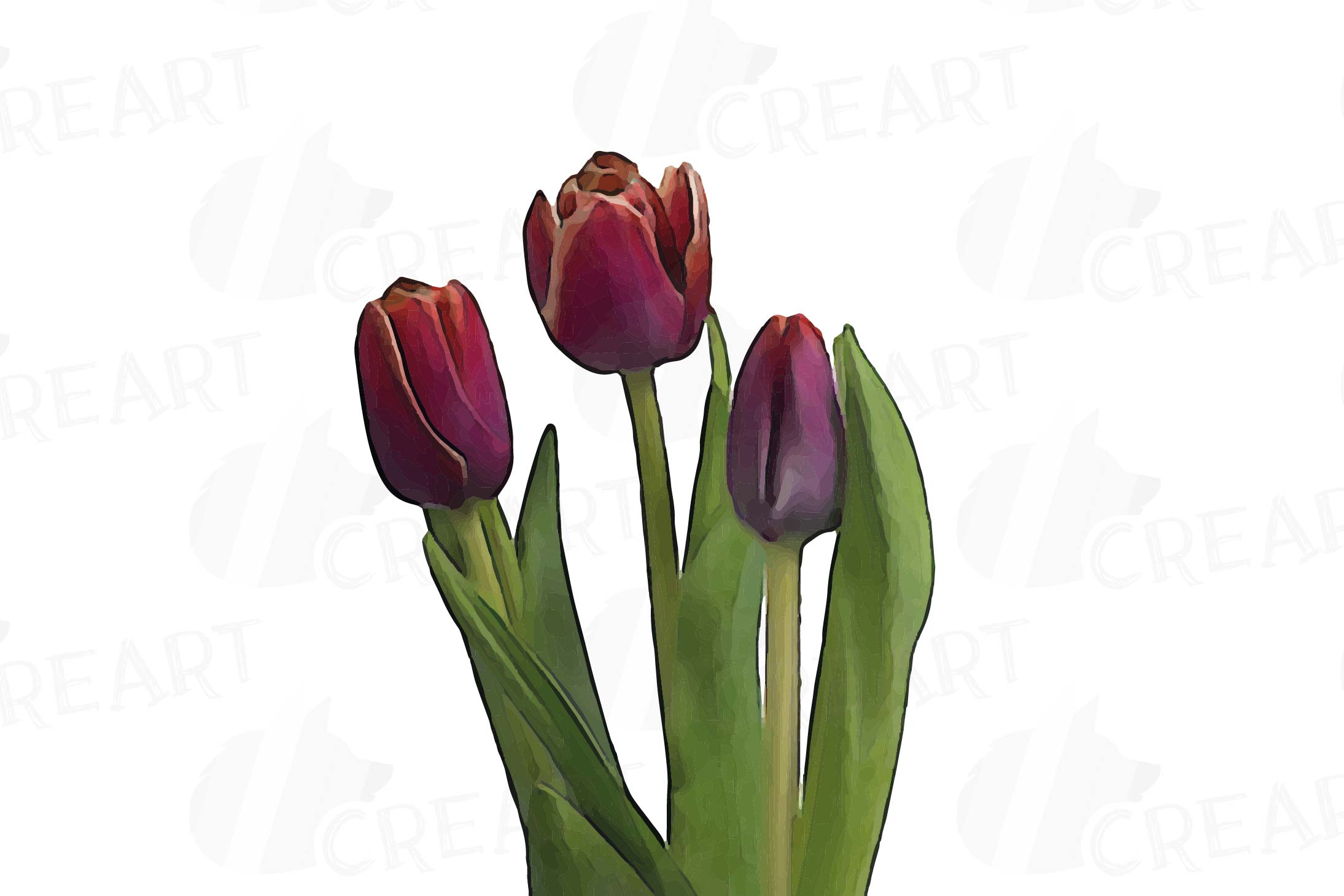 Tulip watercolor clip art pack, watercolor tulip design