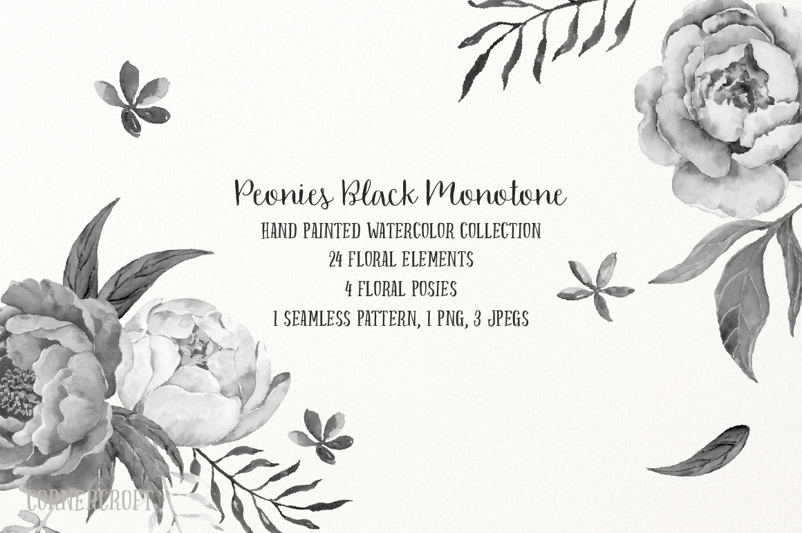Watercolor black and white peony collection (355510) | Illustrations ...