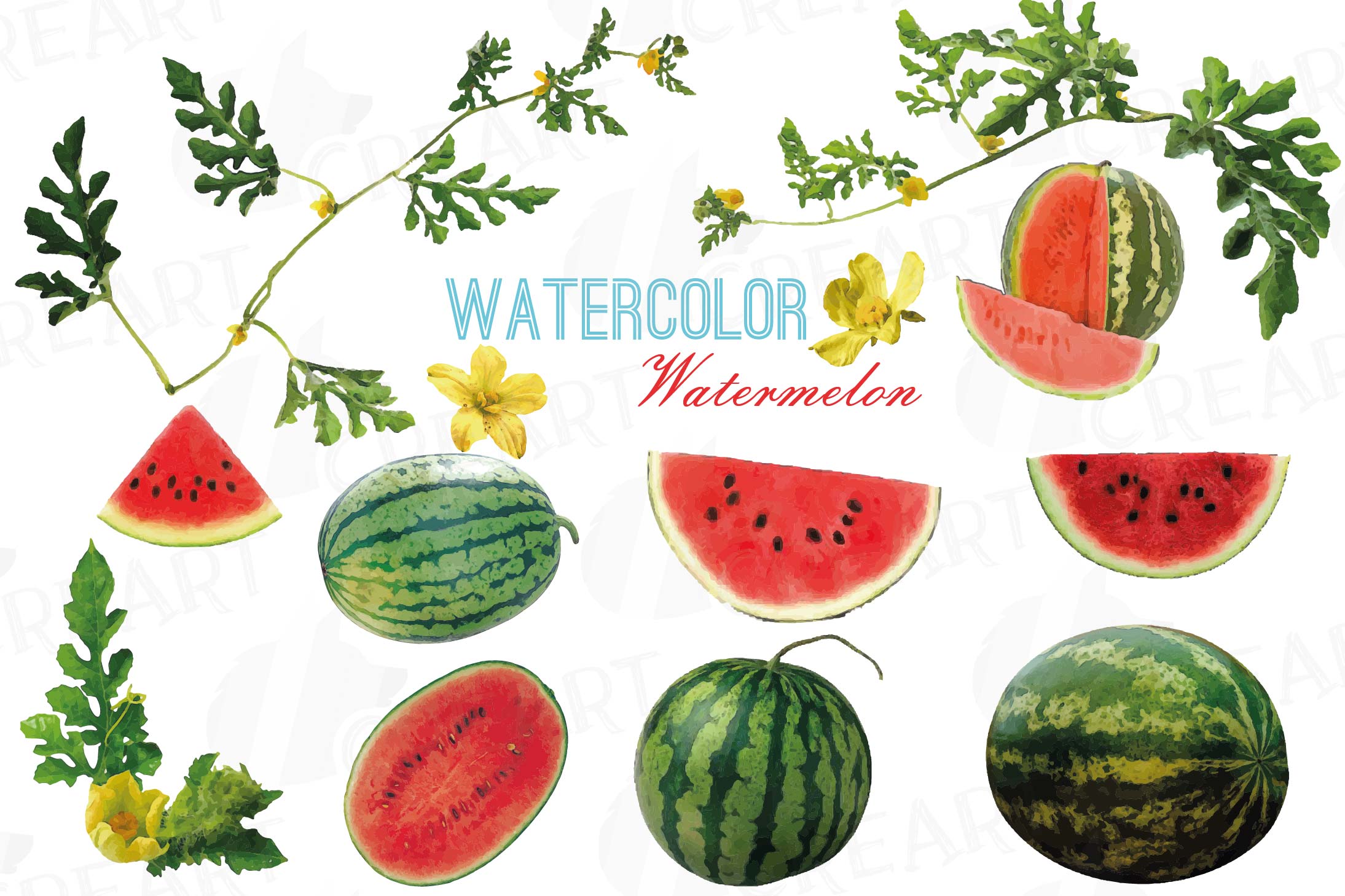 Watercolor watermelon clip art pack, watermelon plant&flower (112802 ...