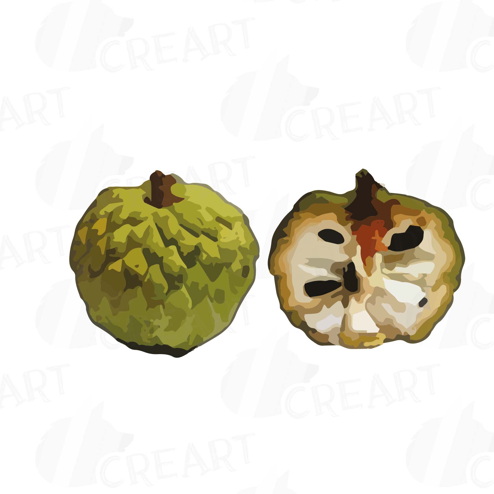 Watercolor exotic fruits clip art pack, exotic watercolor tropical clip ...