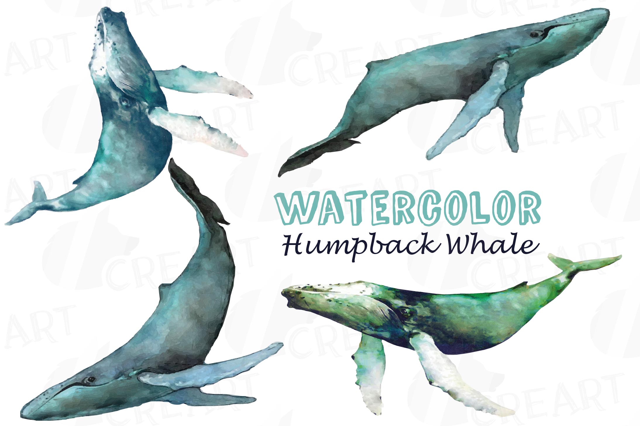 Watercolor humpback whale clip art pack, colorful whales