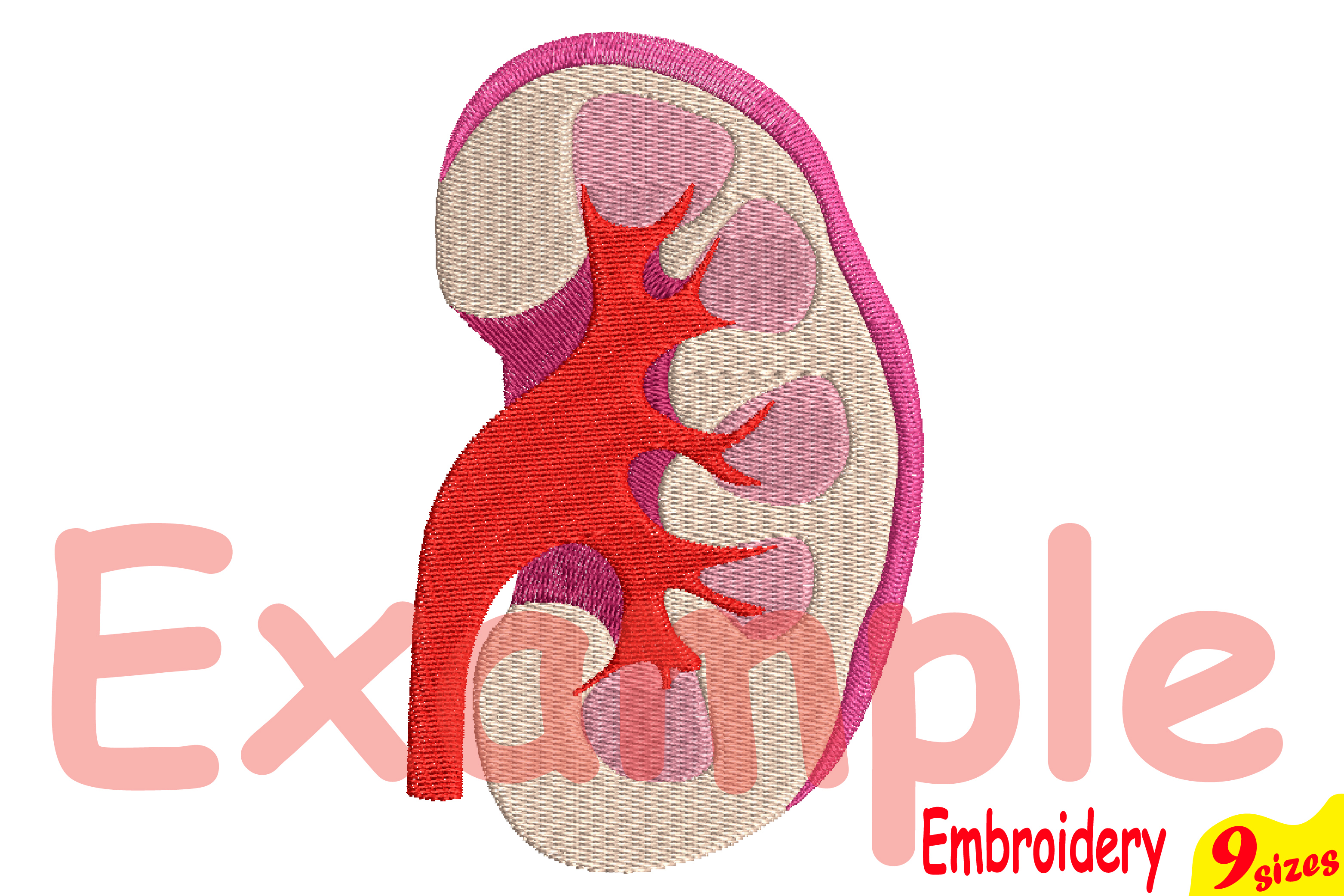 Kidney Embroidery Design Machine Instant Download Commercial Use ...