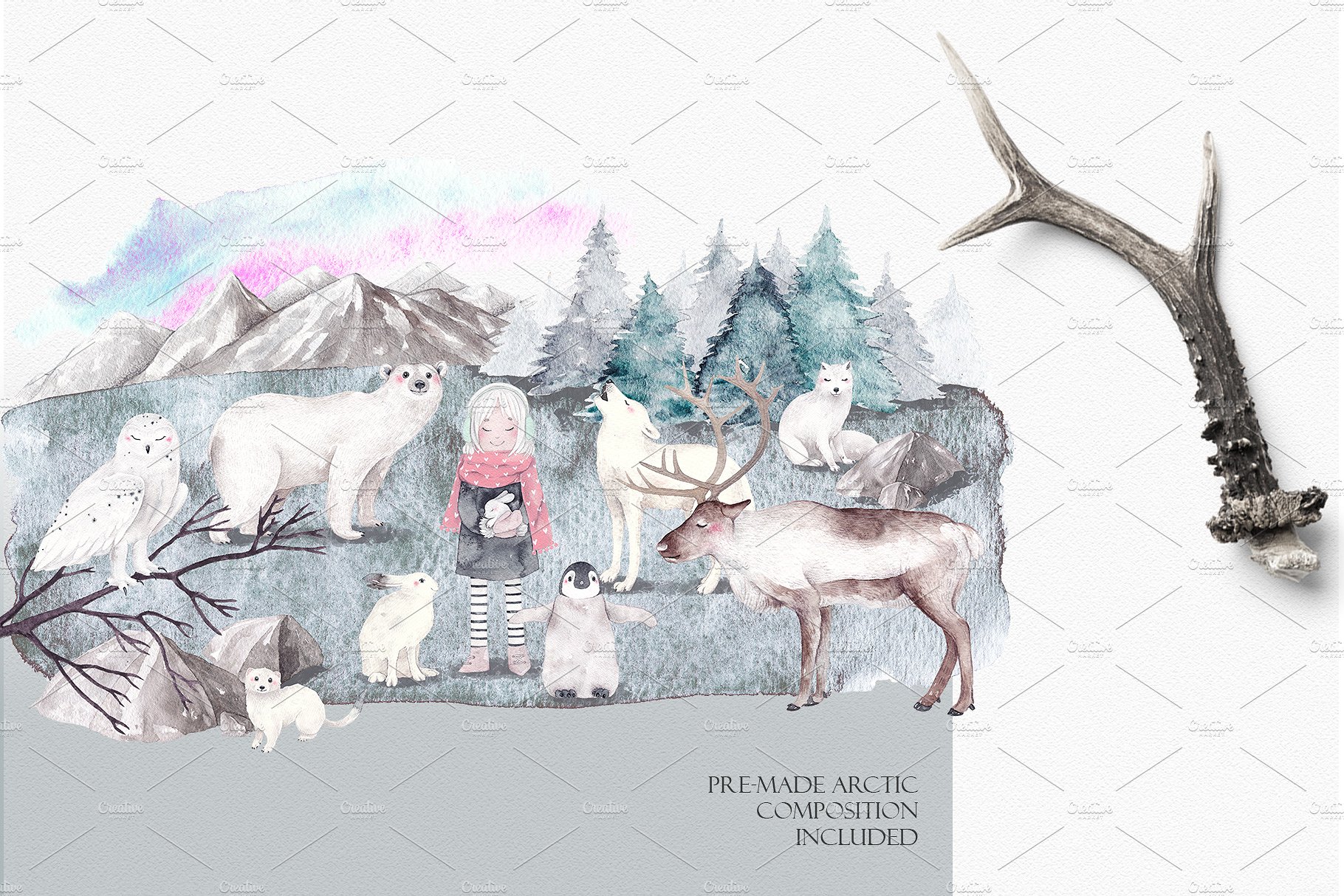 ARCTIC ANIMALS watercolor set PART 1 (176785) | Illustrations | Design ...