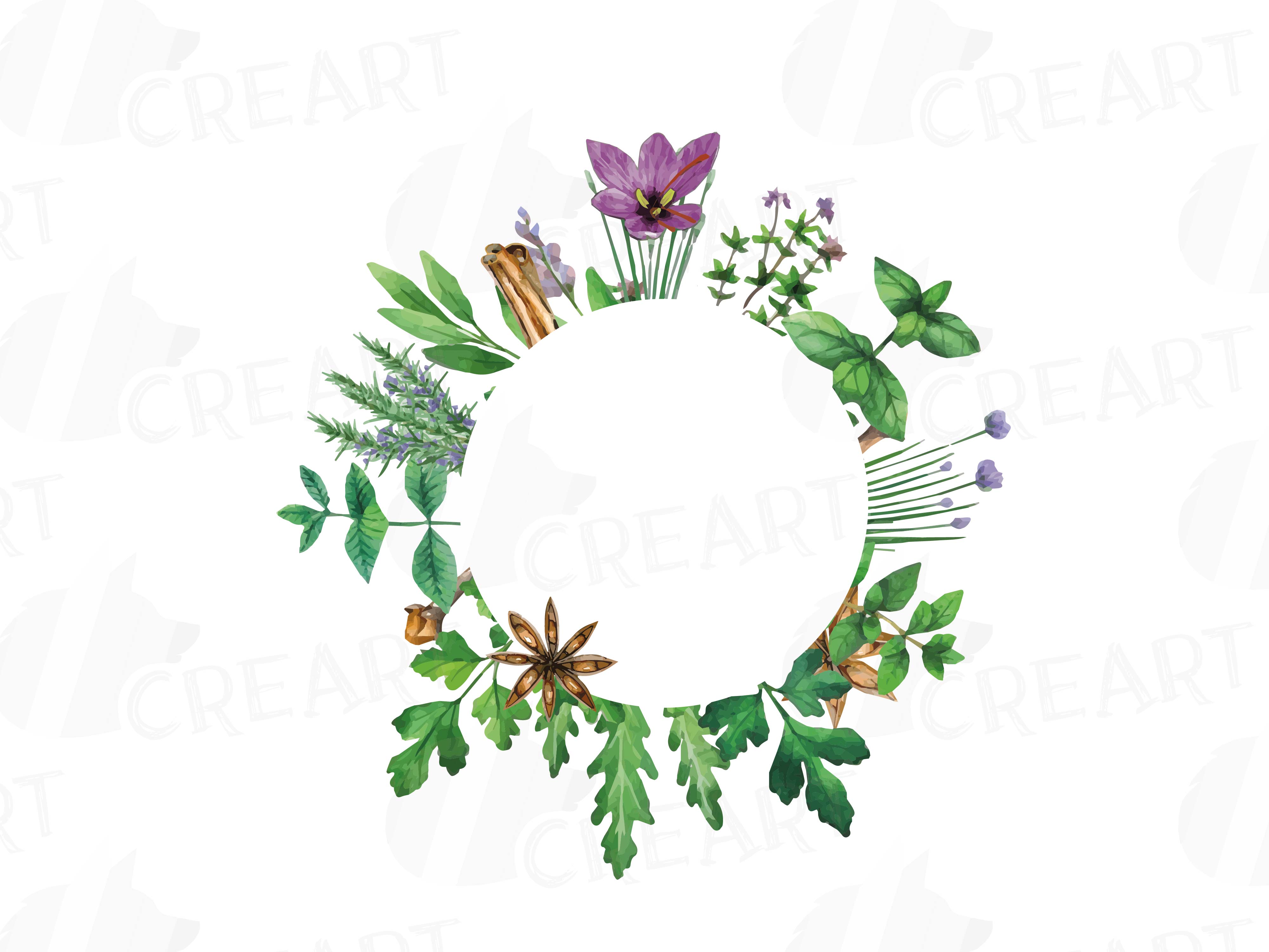 Herbs and Spices frames watercolor clip art pack, watercolor herb ...