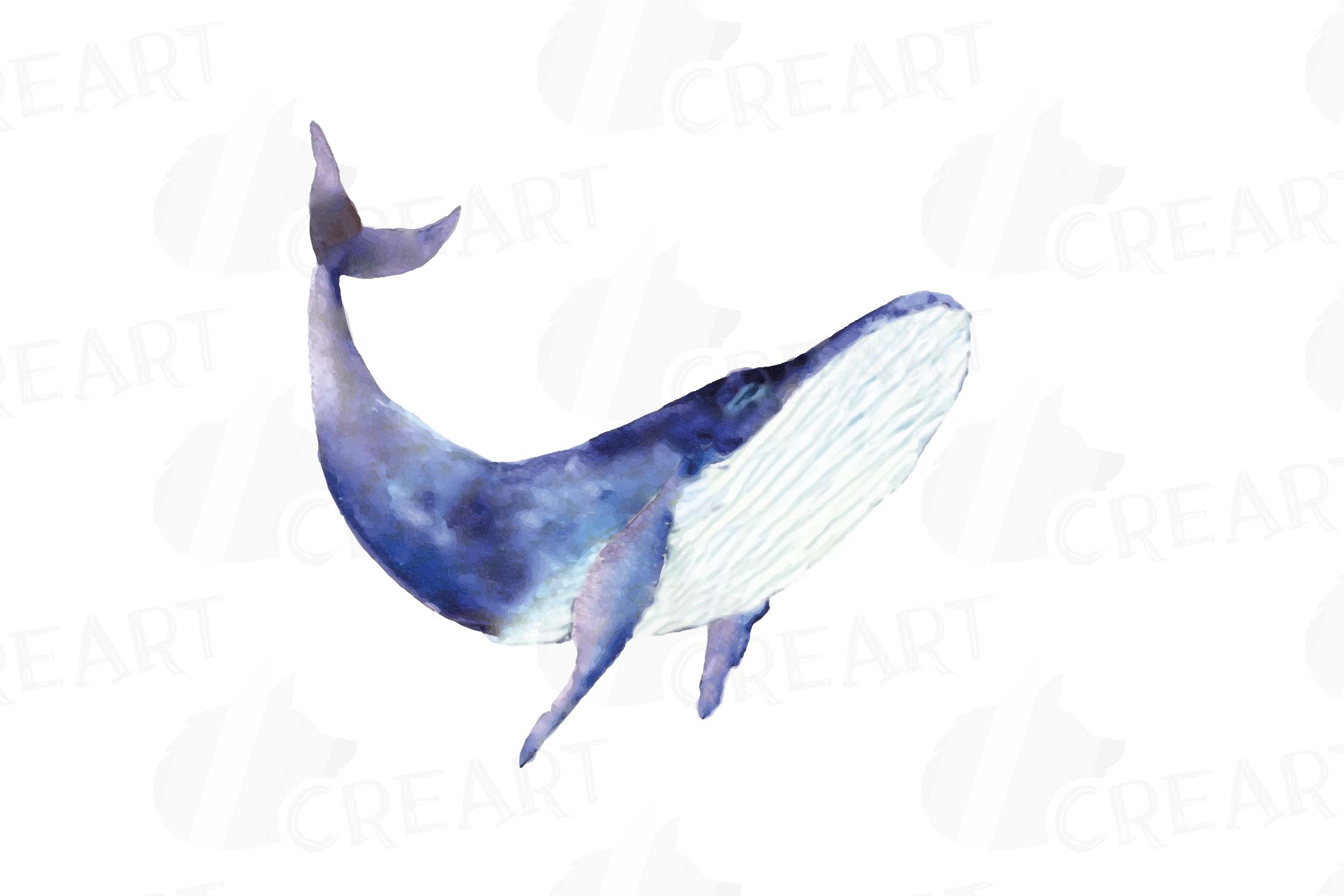 Watercolor blue whale clip art pack, colorful blue whales (217779 ...