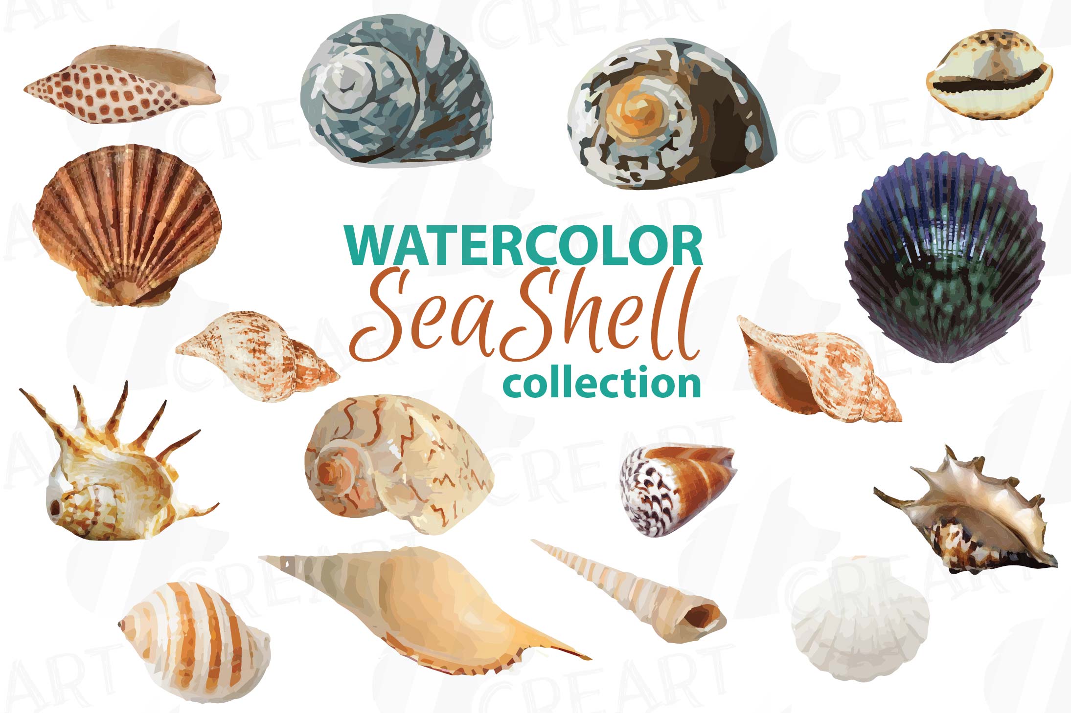 Seashells clip art collection, 16 watercolor sea shell png