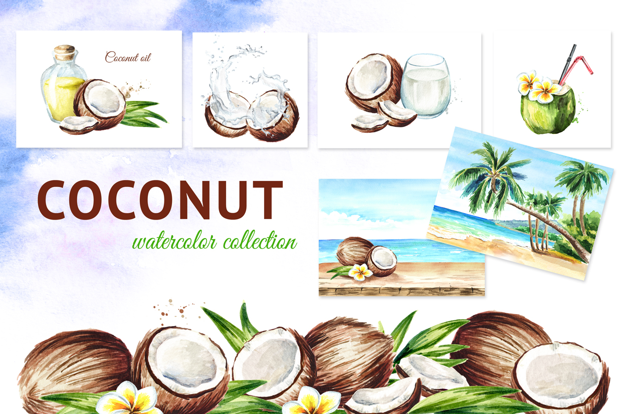 Coconut. Watercolor collection (132735) | Illustrations | Design Bundles