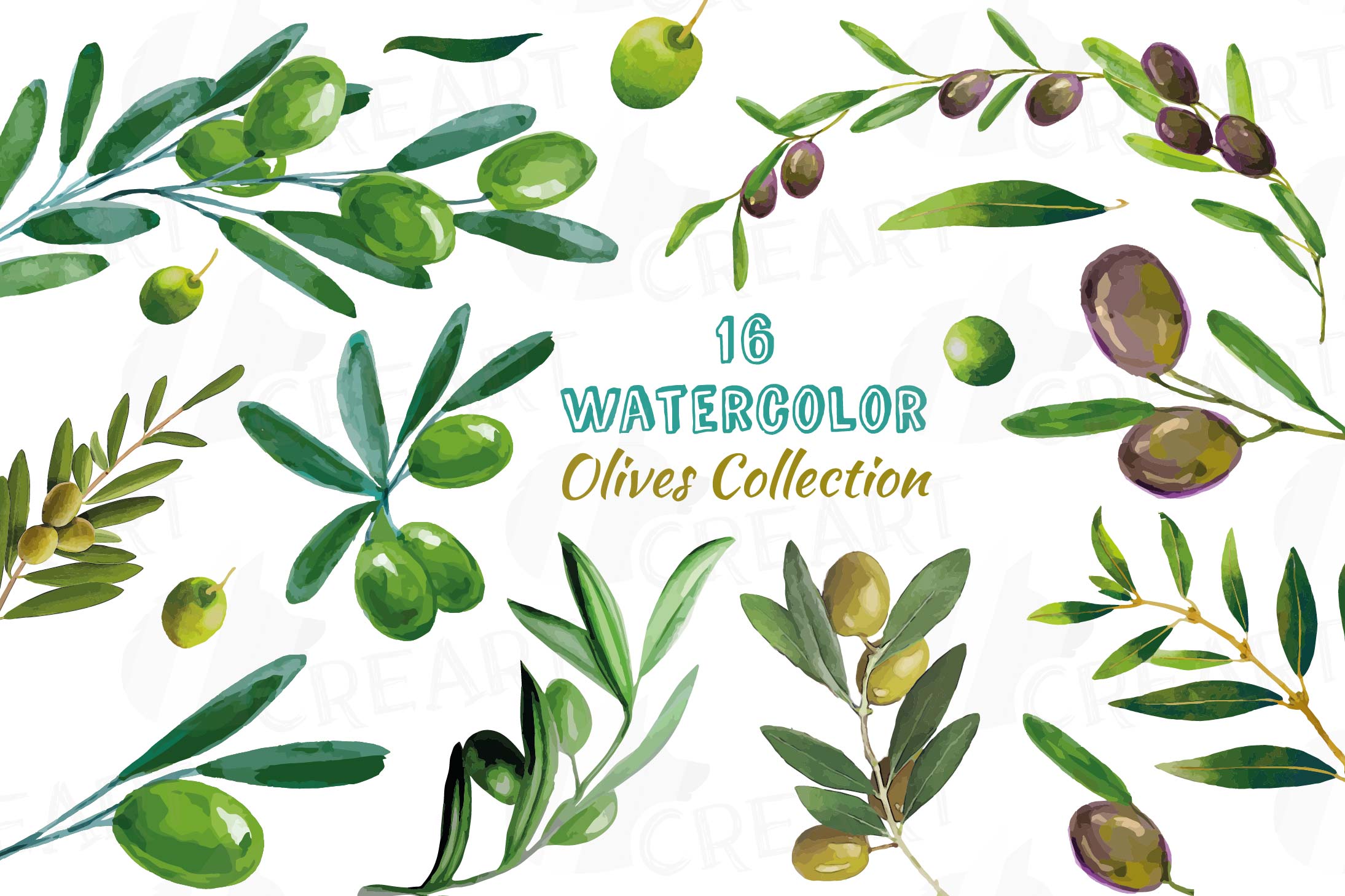 Watercolor olive leaves and branches clip art pack (182348 ...