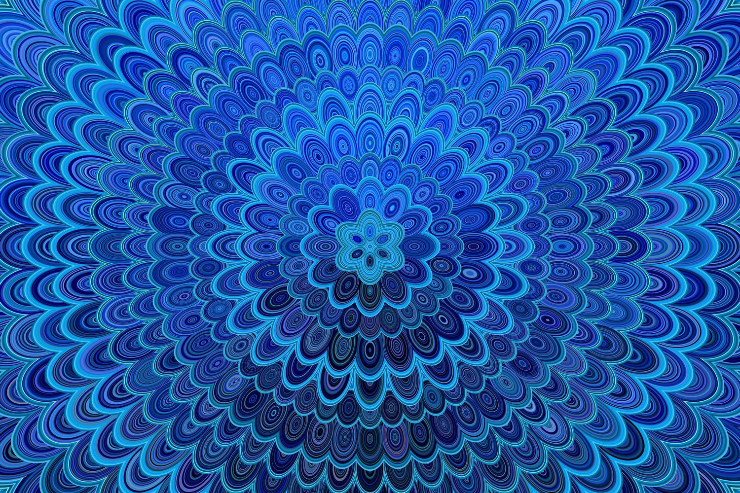 6 Mandala Backgrounds (317767) | Backgrounds | Design Bundles