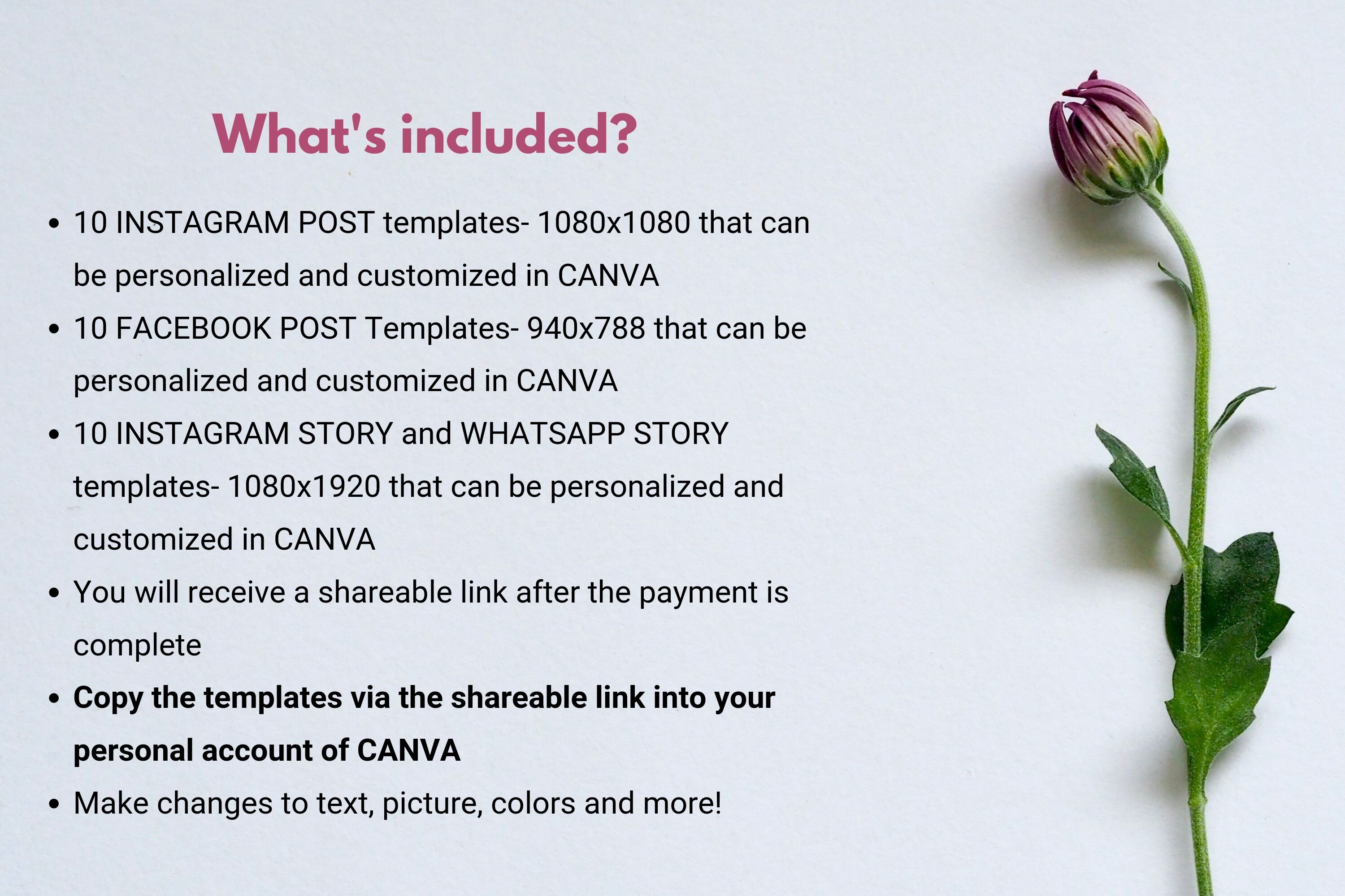 Social Media Templates- Wedding Love Stories