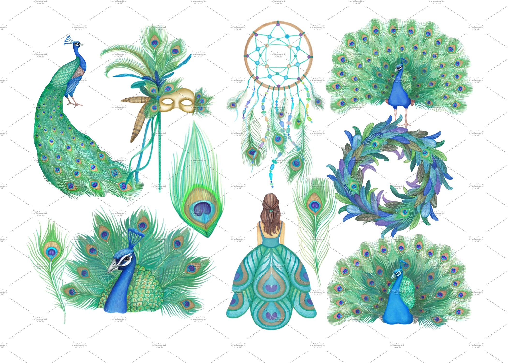 Clipart Peacock
