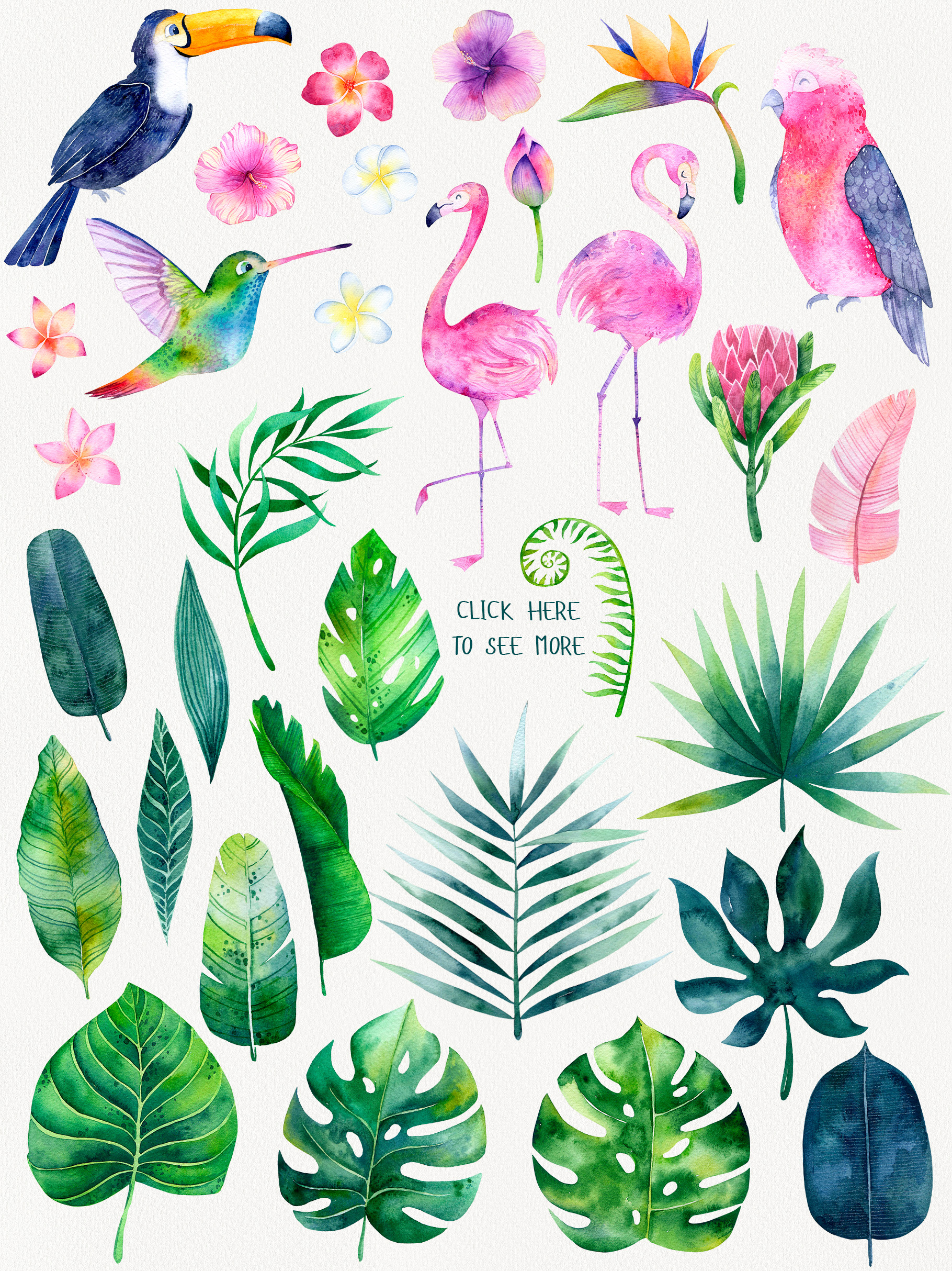 Tropical Watercolor Set (141566) | Illustrations | Design Bundles