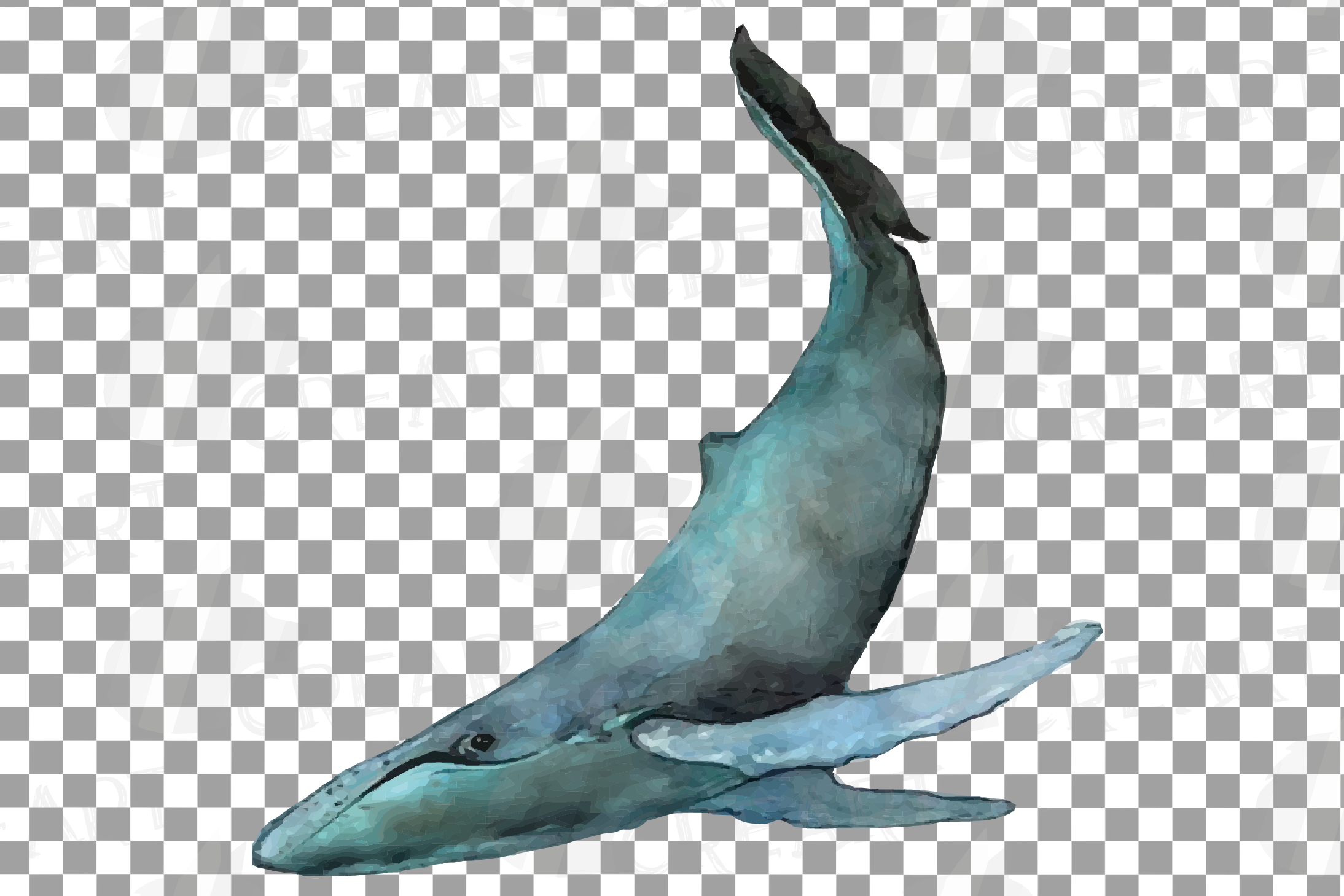 Watercolor humpback whale clip art pack, colorful whales