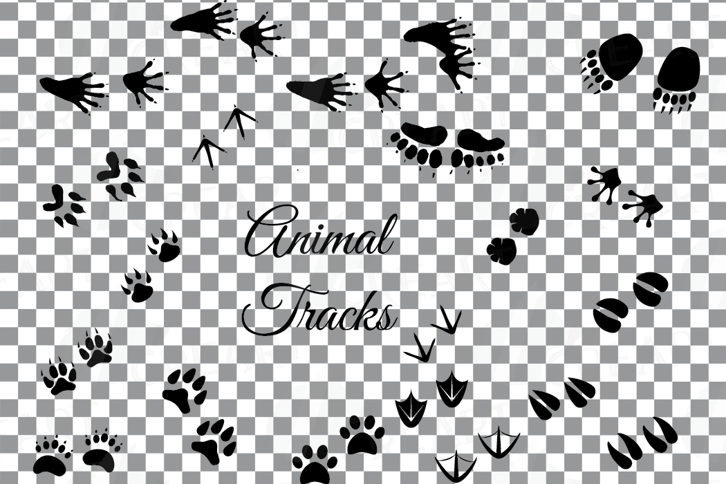 Animal Tracks, Woodland Animals footprints Clipart pack (109435 ...