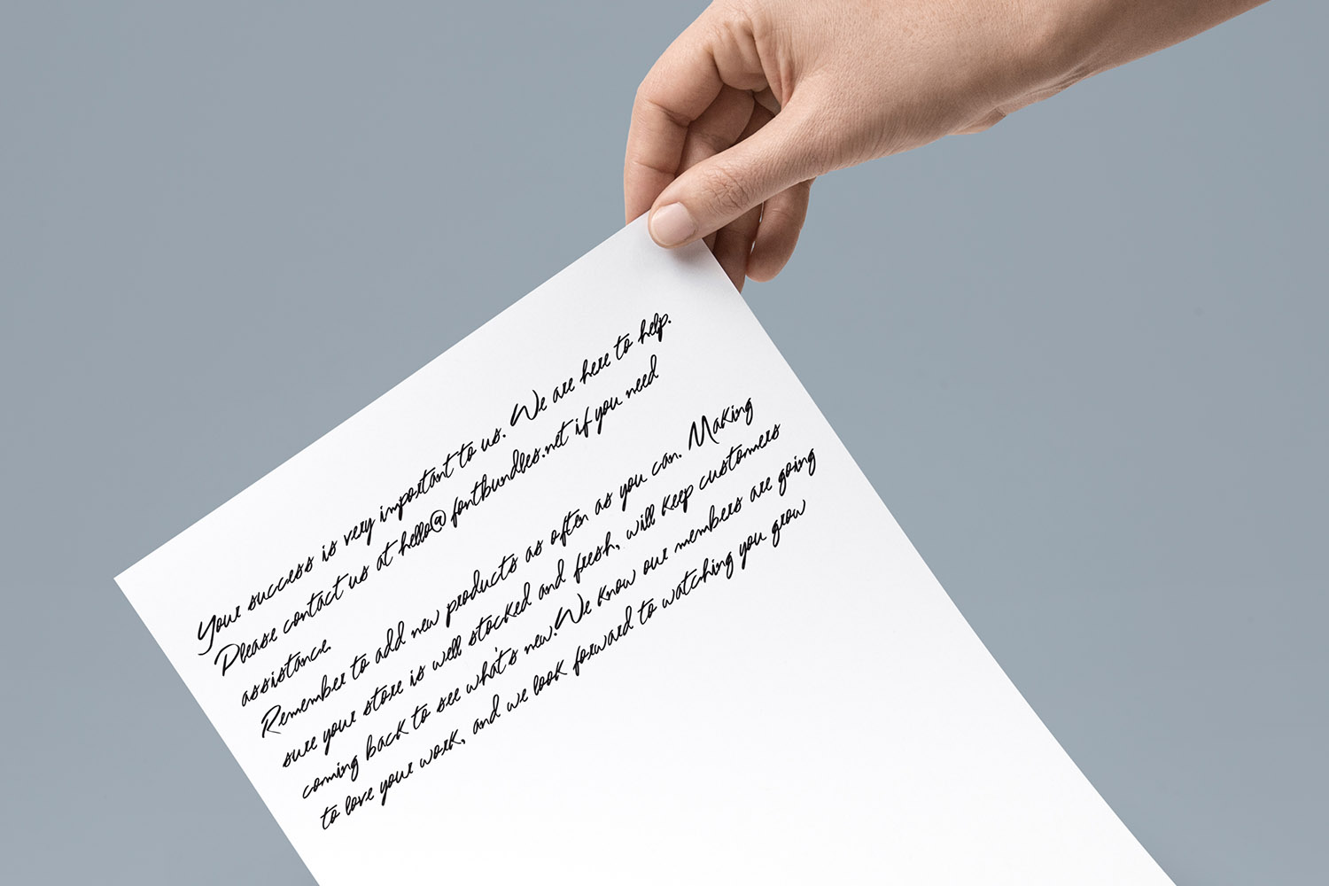 Absolute Script (24460) | Script | Font Bundles