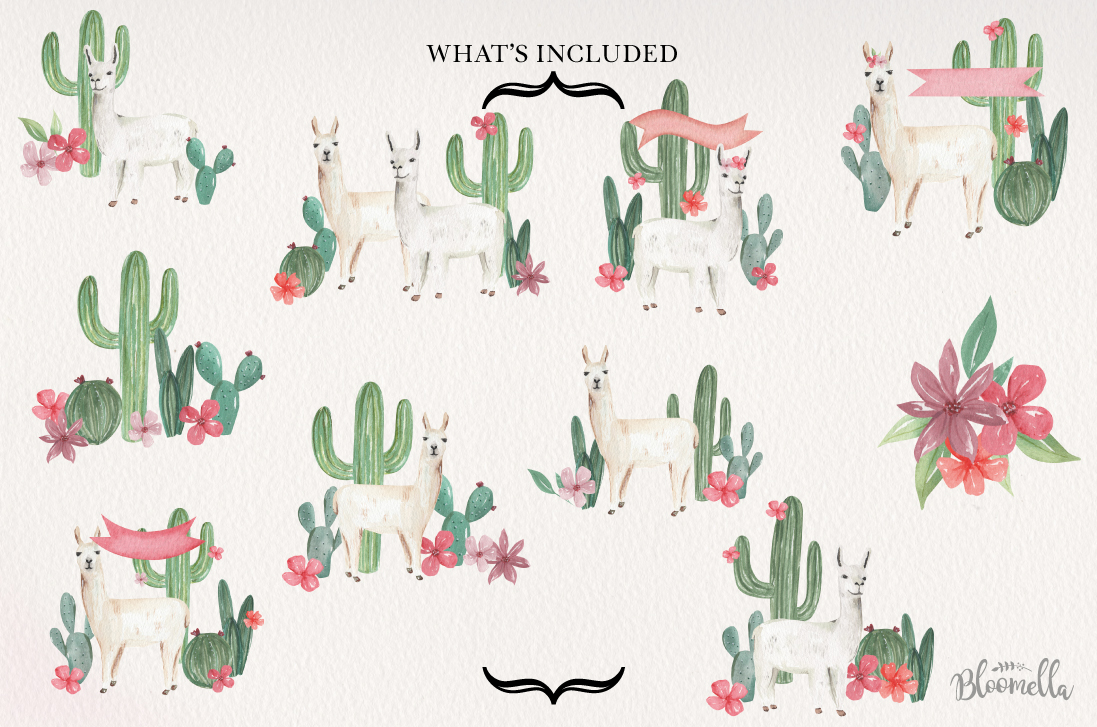 10 Watercolour Llama Drama Arrangements Cactus Floral Flower