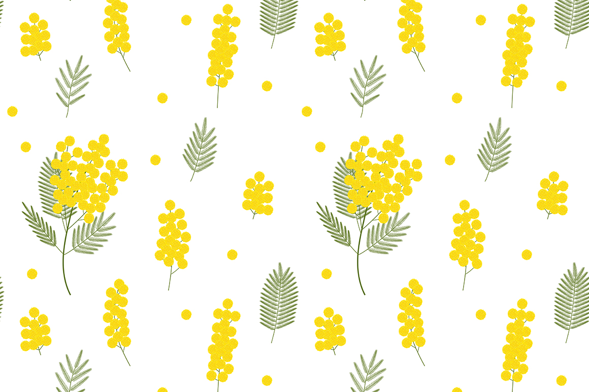 Set of mimosa vector illustrations