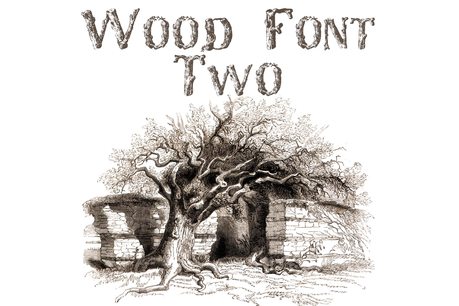 Wood Font Two (23457) | Script | Font Bundles