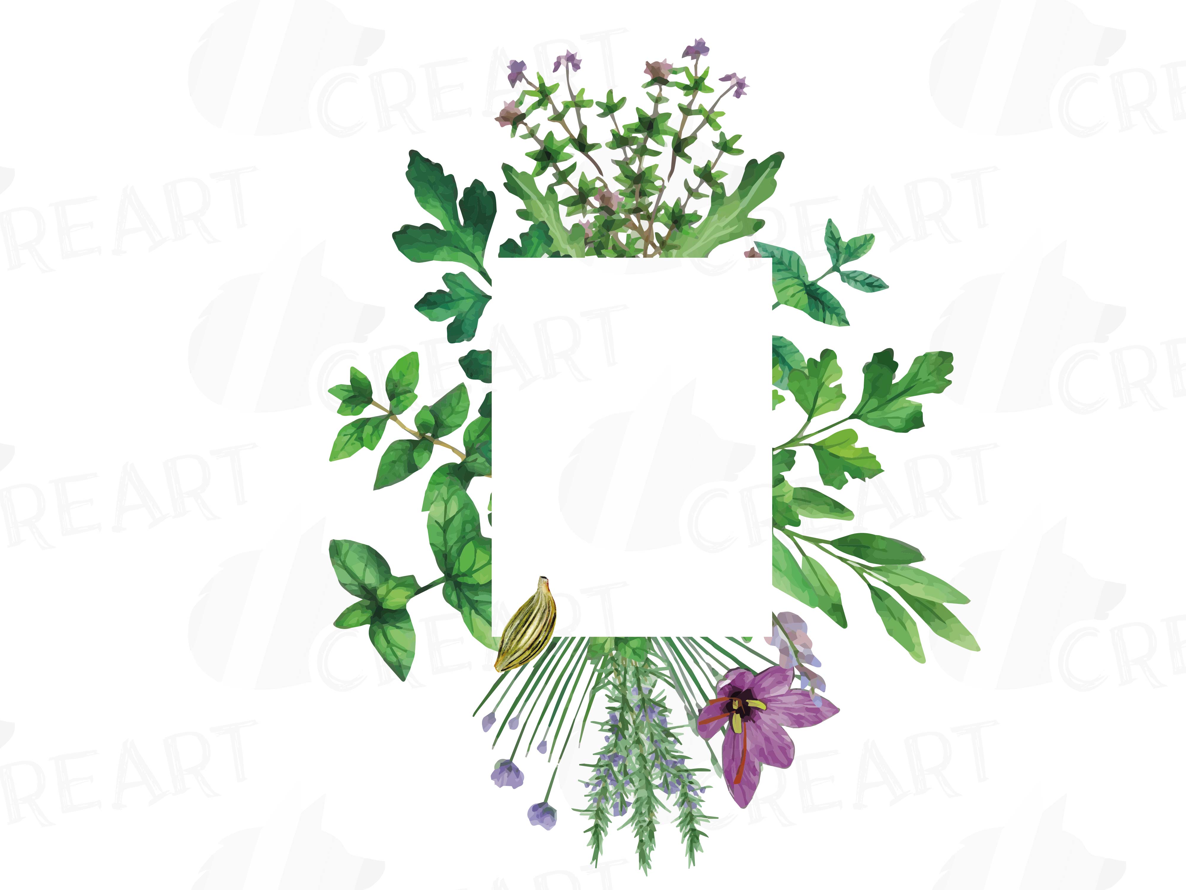 Herbs and Spices frames watercolor clip art pack, watercolor herb ...