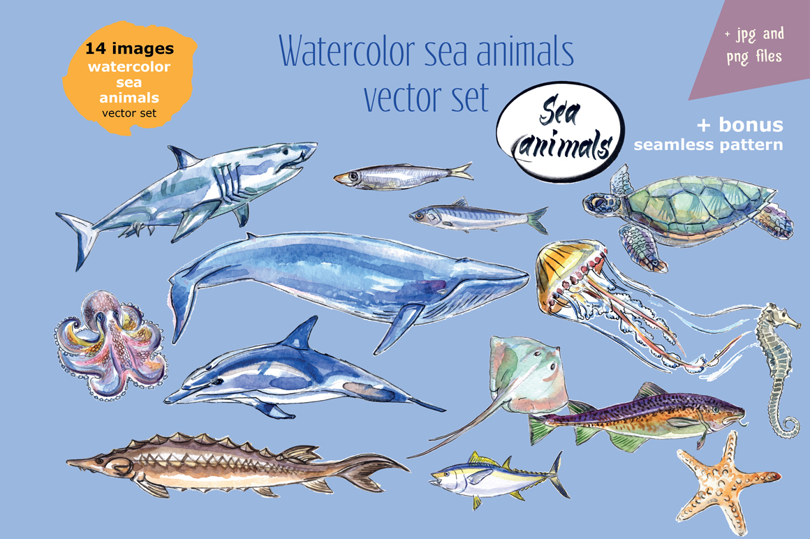Watercolor sea animals & bonus!