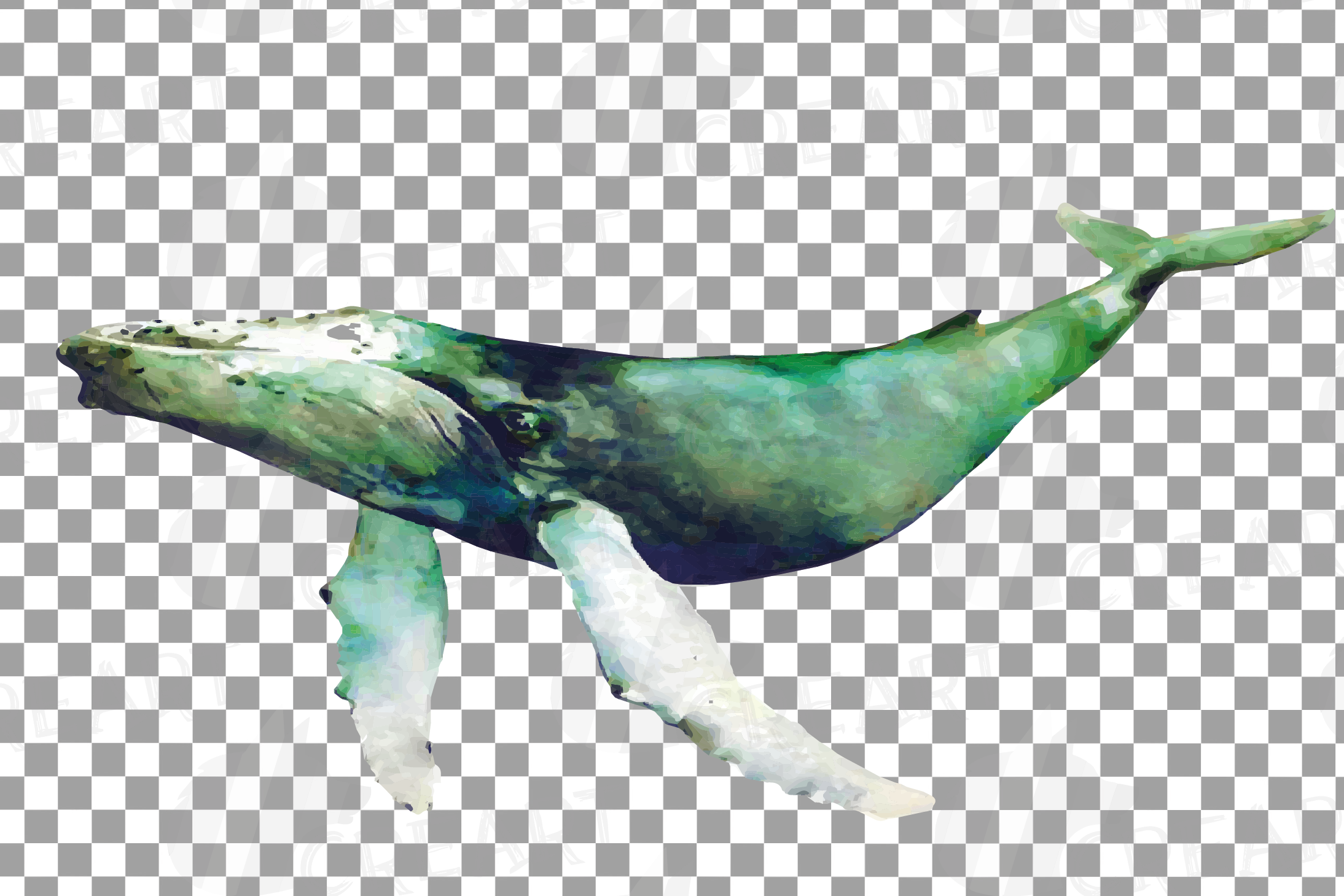 Watercolor humpback whale clip art pack, colorful whales