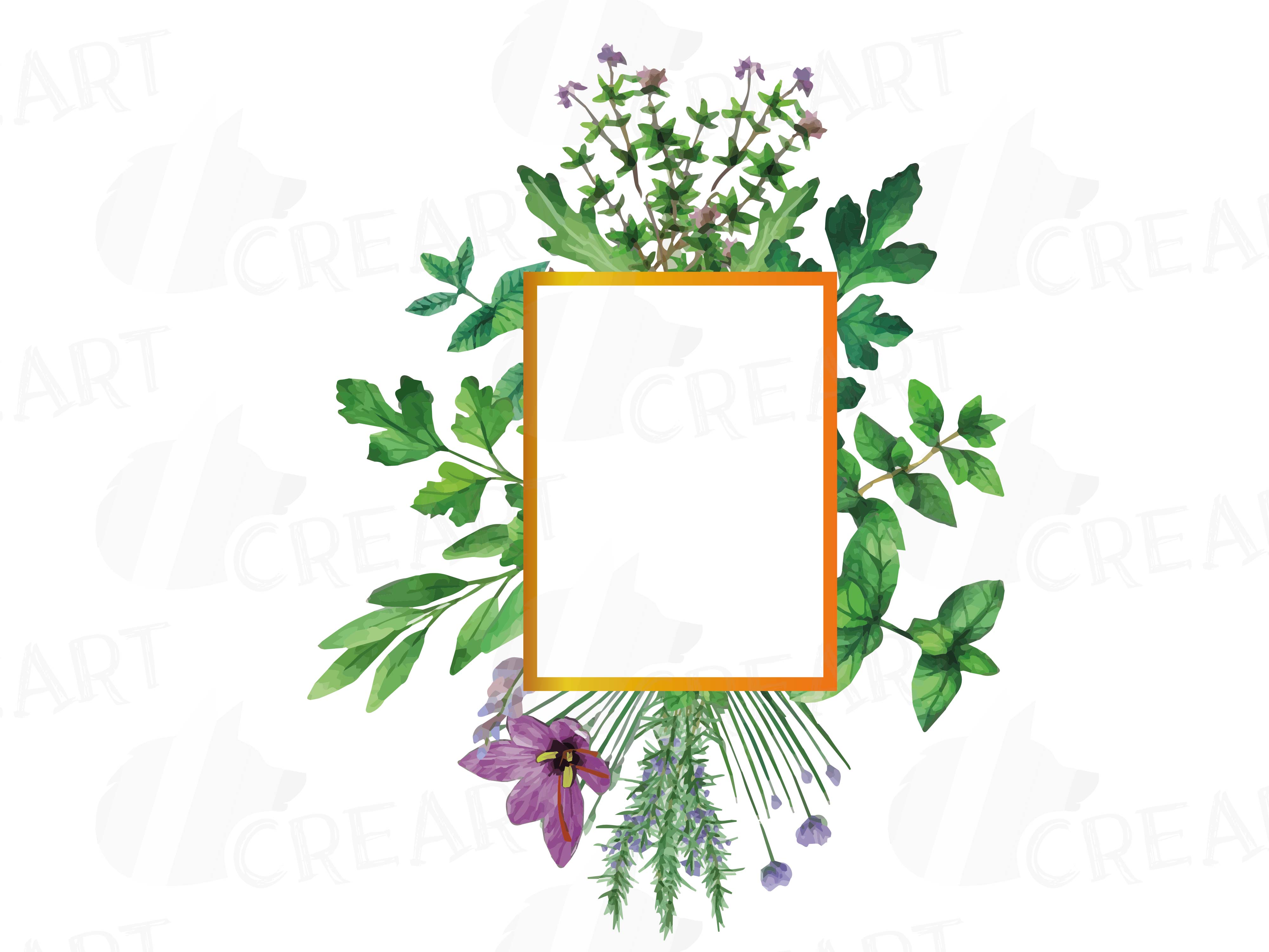 Herbs and Spices frames watercolor clip art pack, watercolor herb ...