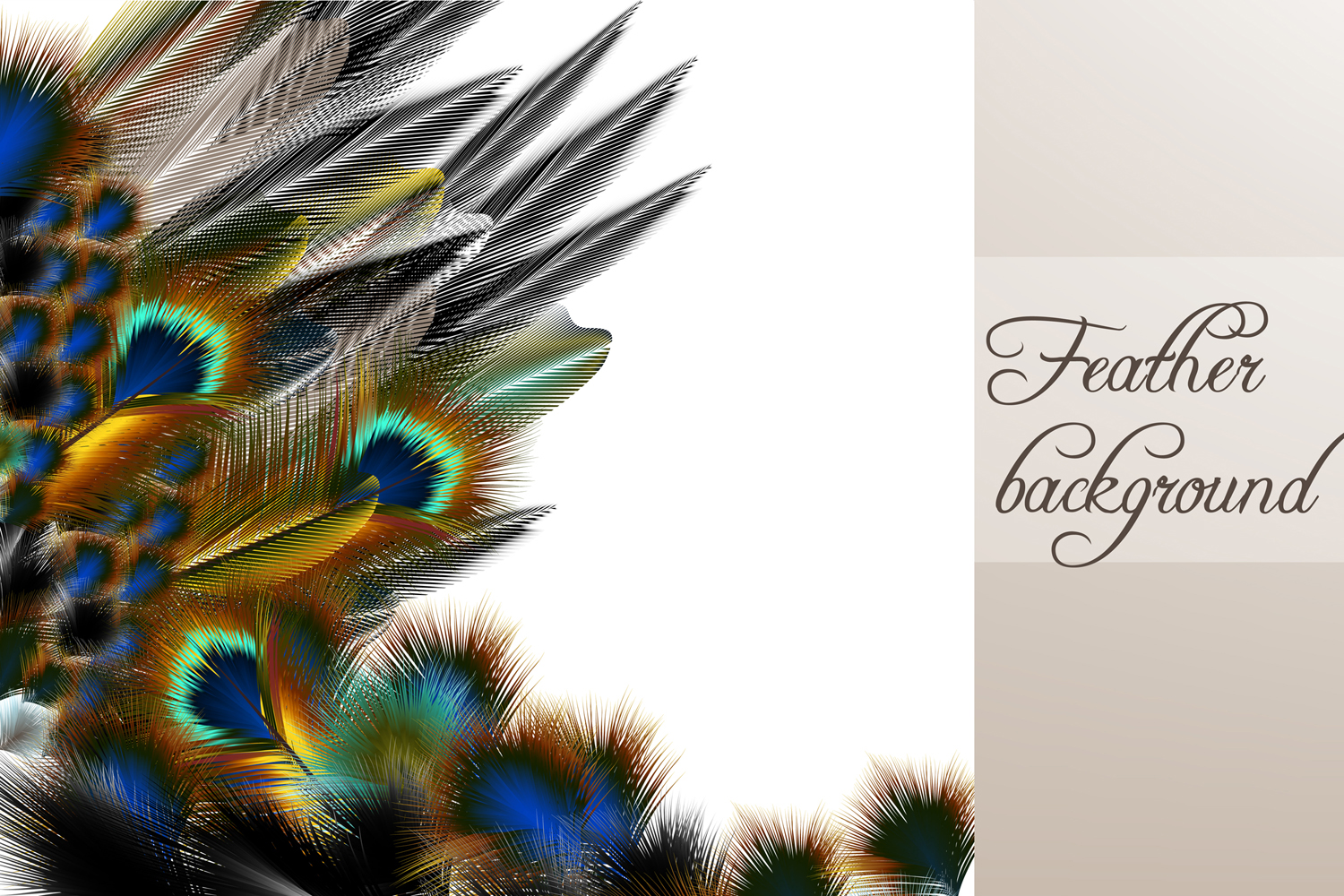 Colorful feathers bundle