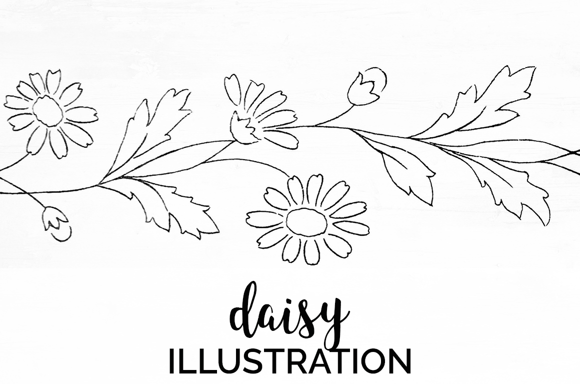Daisy - Vintage Flower Engraving