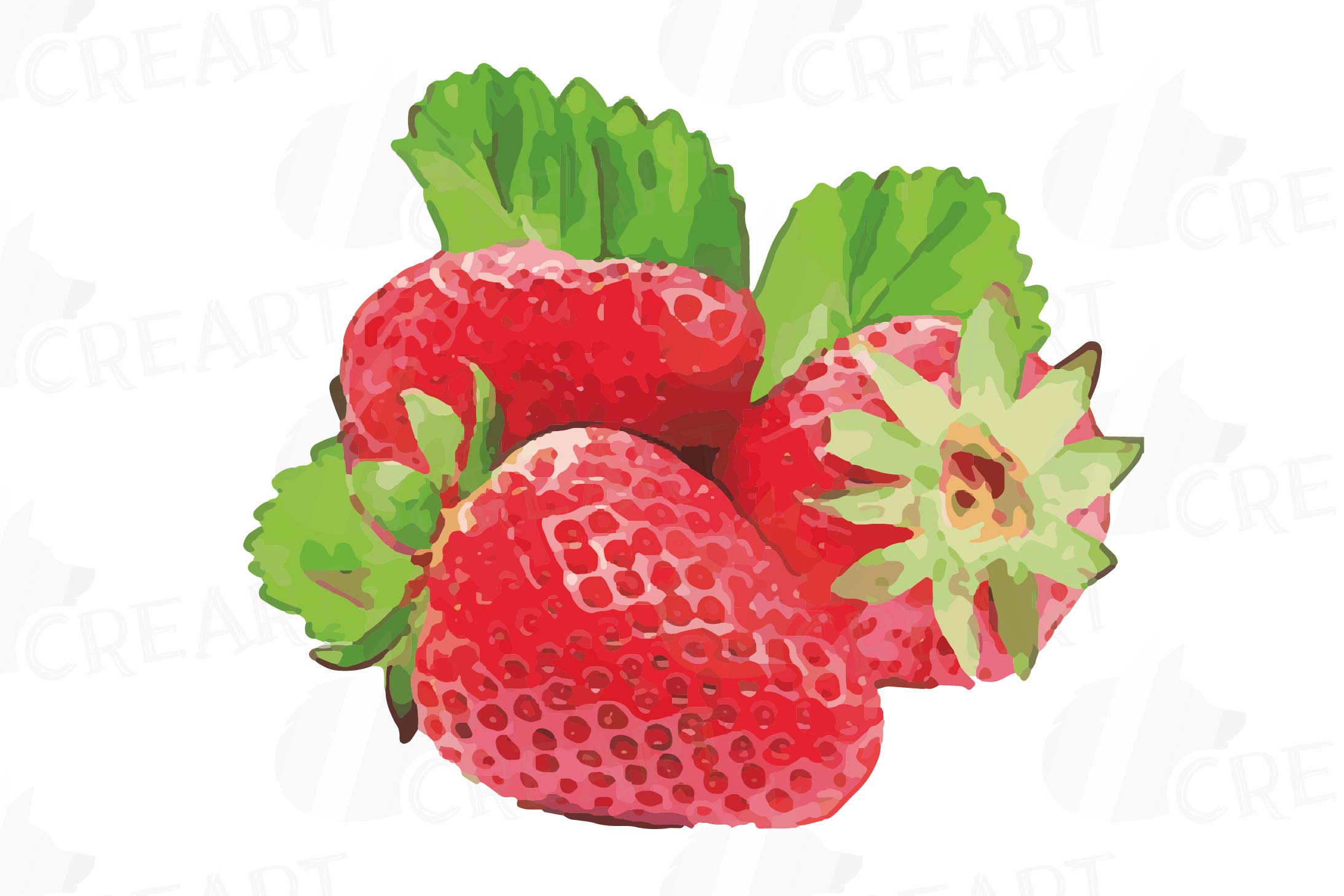 Watercolor Strawberries clip art pack, strawberry flowers (105271 ...