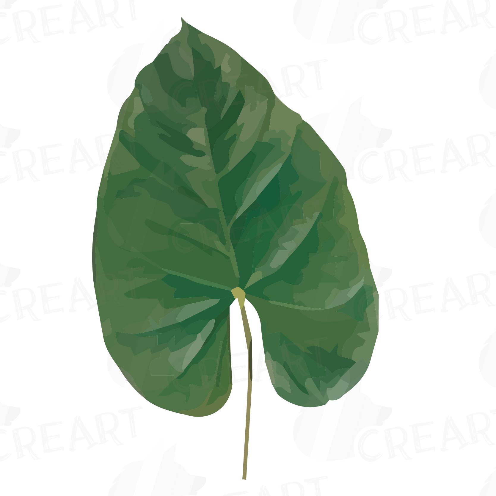 Watercolor Anthurium leaf and flowers clip art pack, exotic watercolor ...