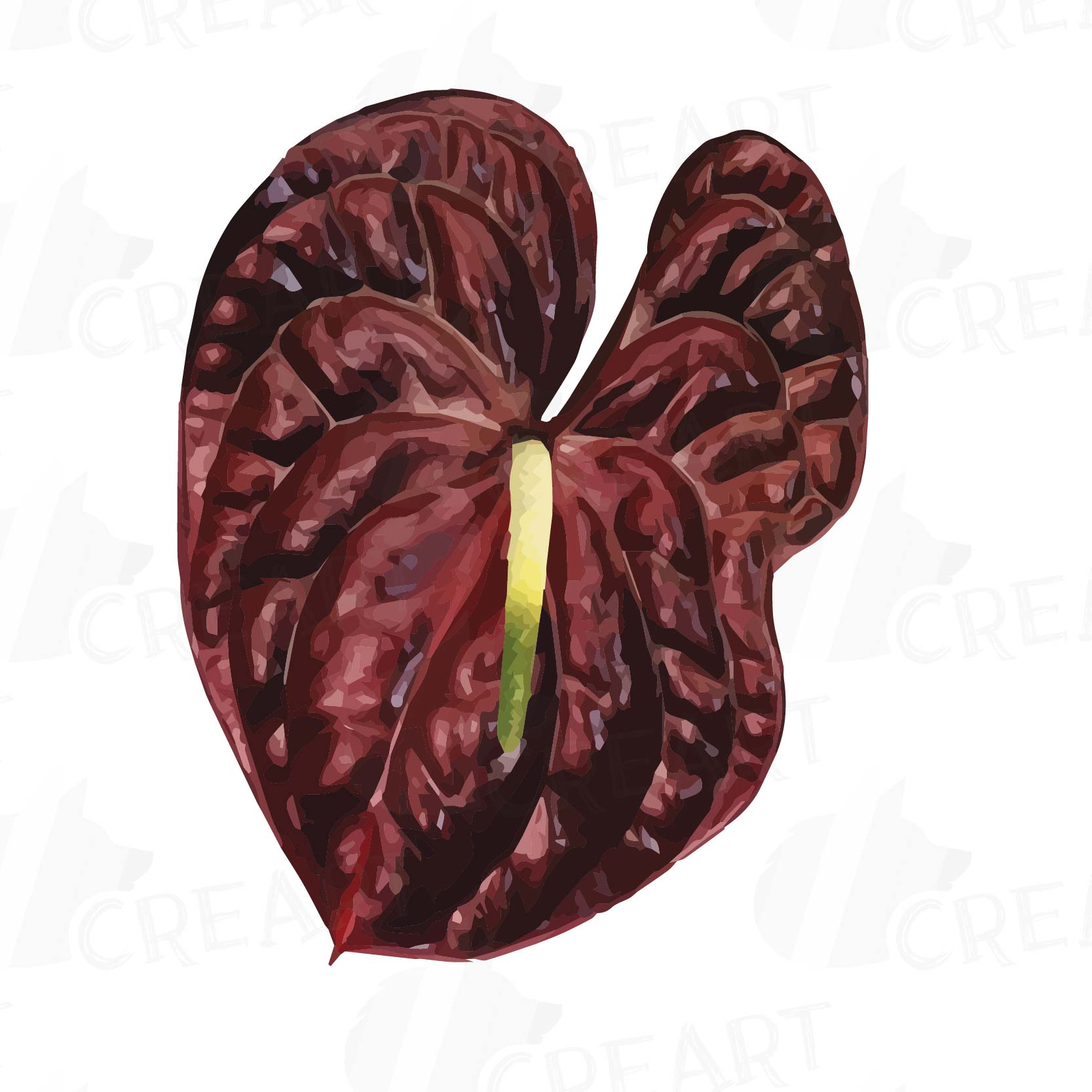 Watercolor Anthurium leaf and flowers clip art pack, exotic watercolor ...