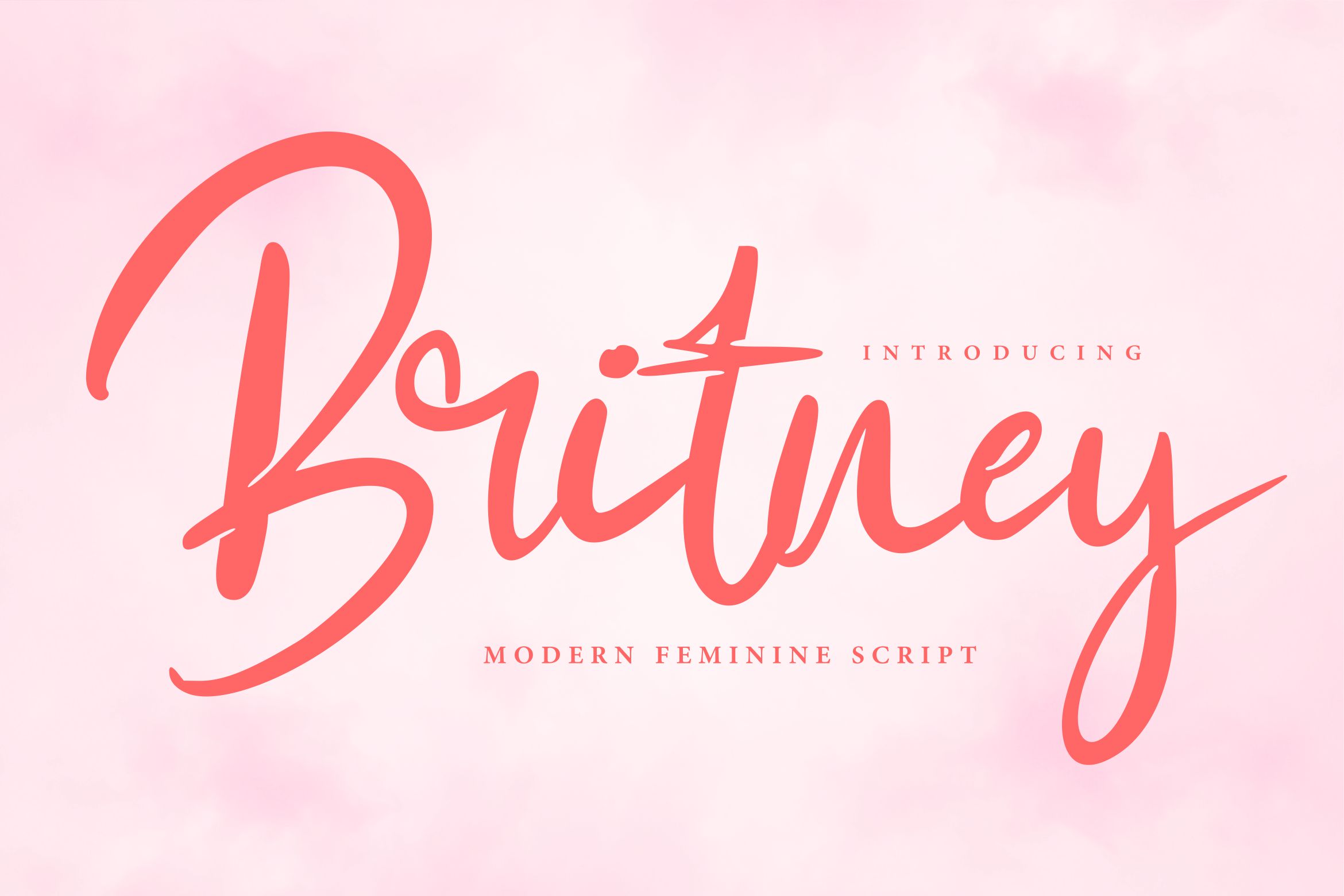 Britney Modern Script Font 374449 Script Font Bundles