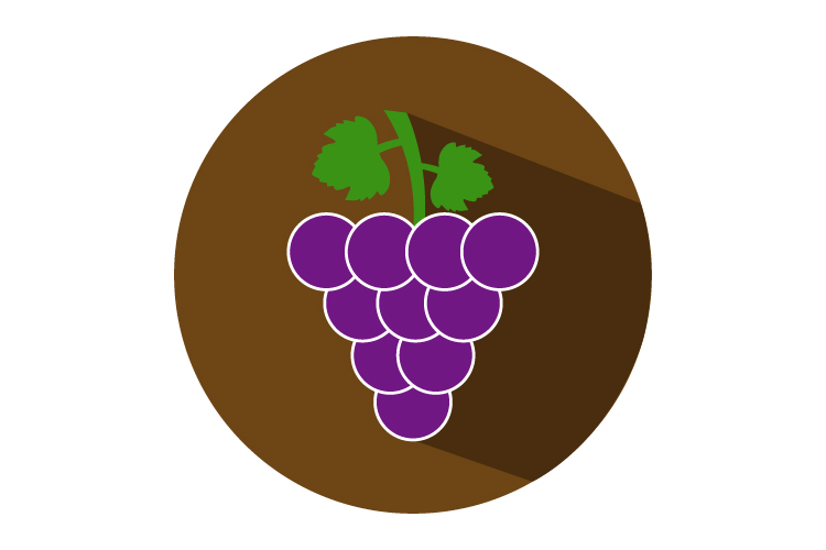 Grape icon (281699) | Icons | Design Bundles