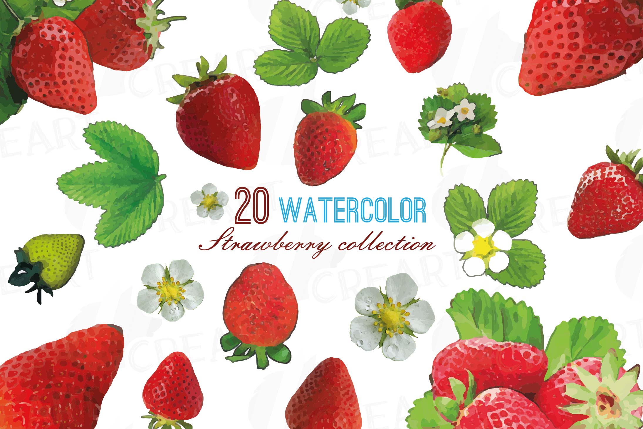 Watercolor Strawberries clip art pack, strawberry flowers (105271 ...