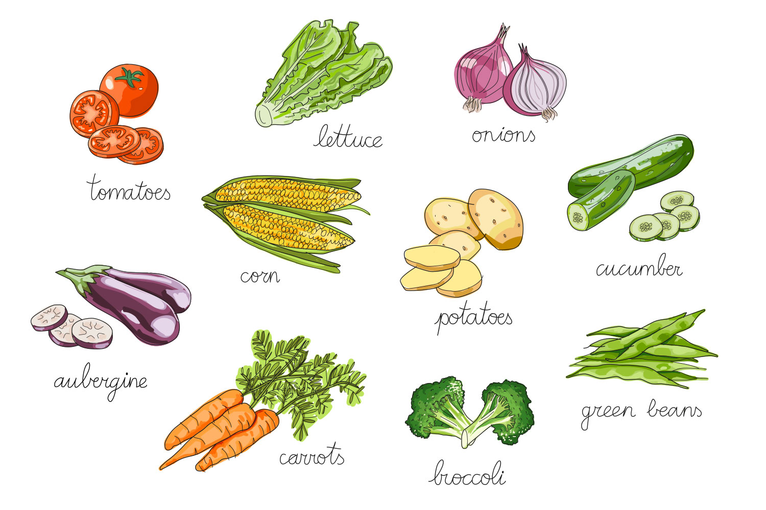 Vegetables Illustration vector pack (29525) | Illustrations | Design ...