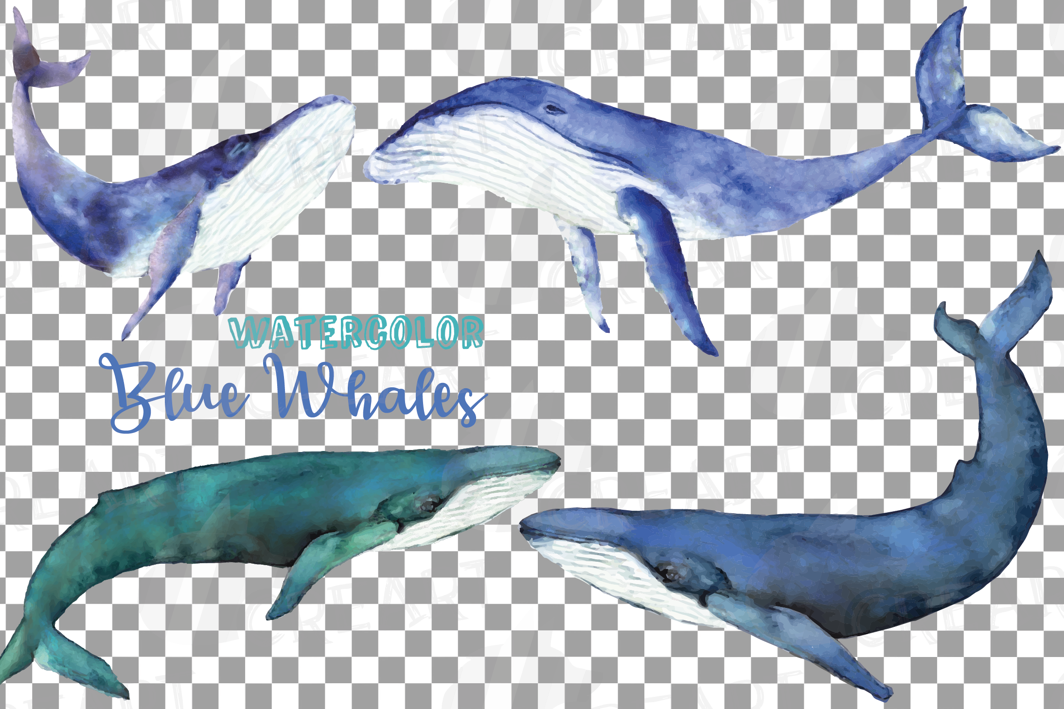 Watercolor blue whale clip art pack, colorful blue whales (217779 ...