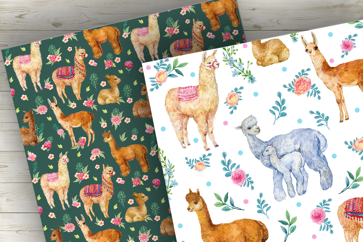 Alpacas and llamas .Seamless pattern