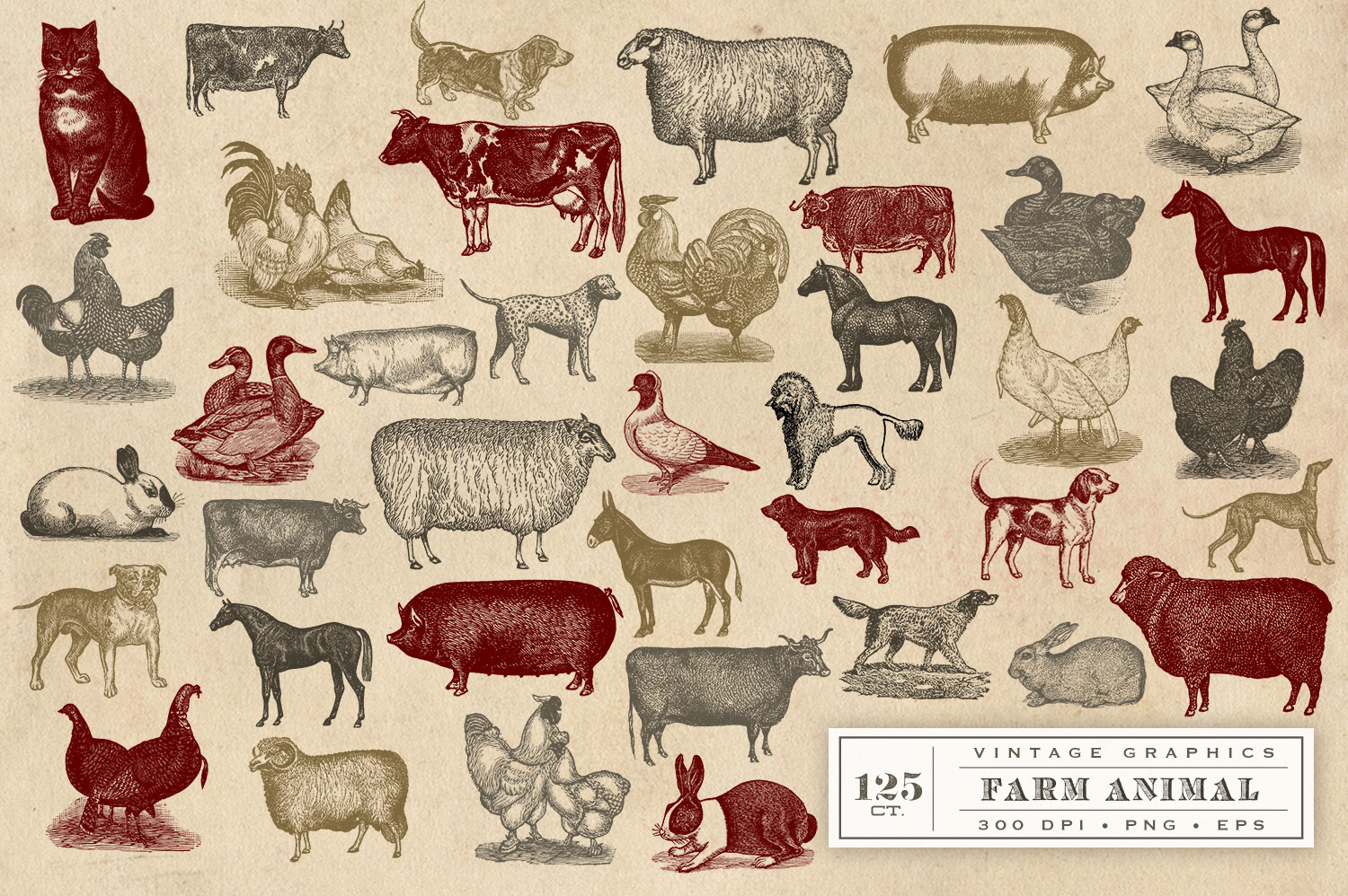 Vintage Farm Animal Vector Graphics