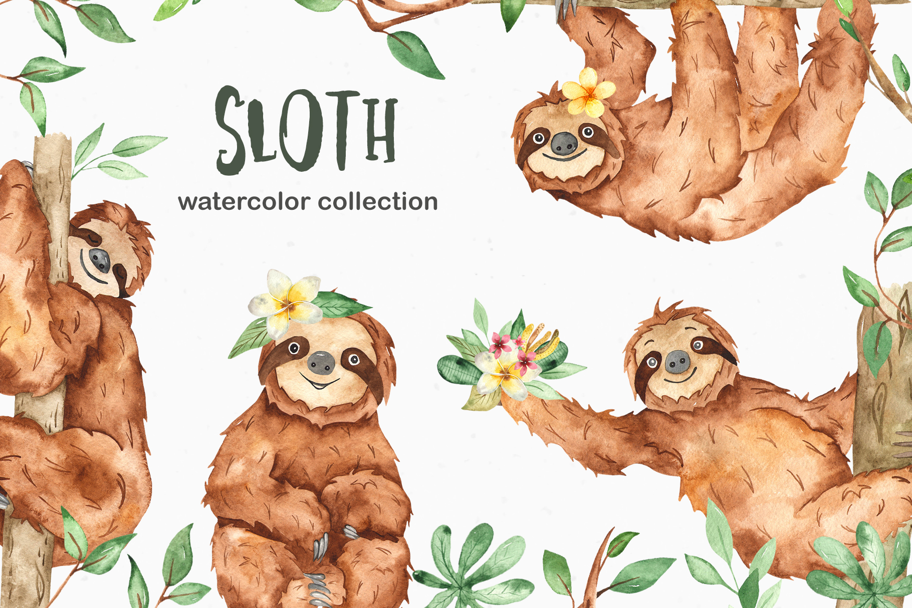 Watercolor sloth. Clipart, seamless patterns and cards