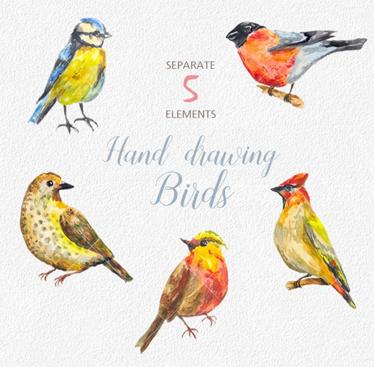 Digital Watercolor Birds Clip Art (305500) | Illustrations | Design Bundles