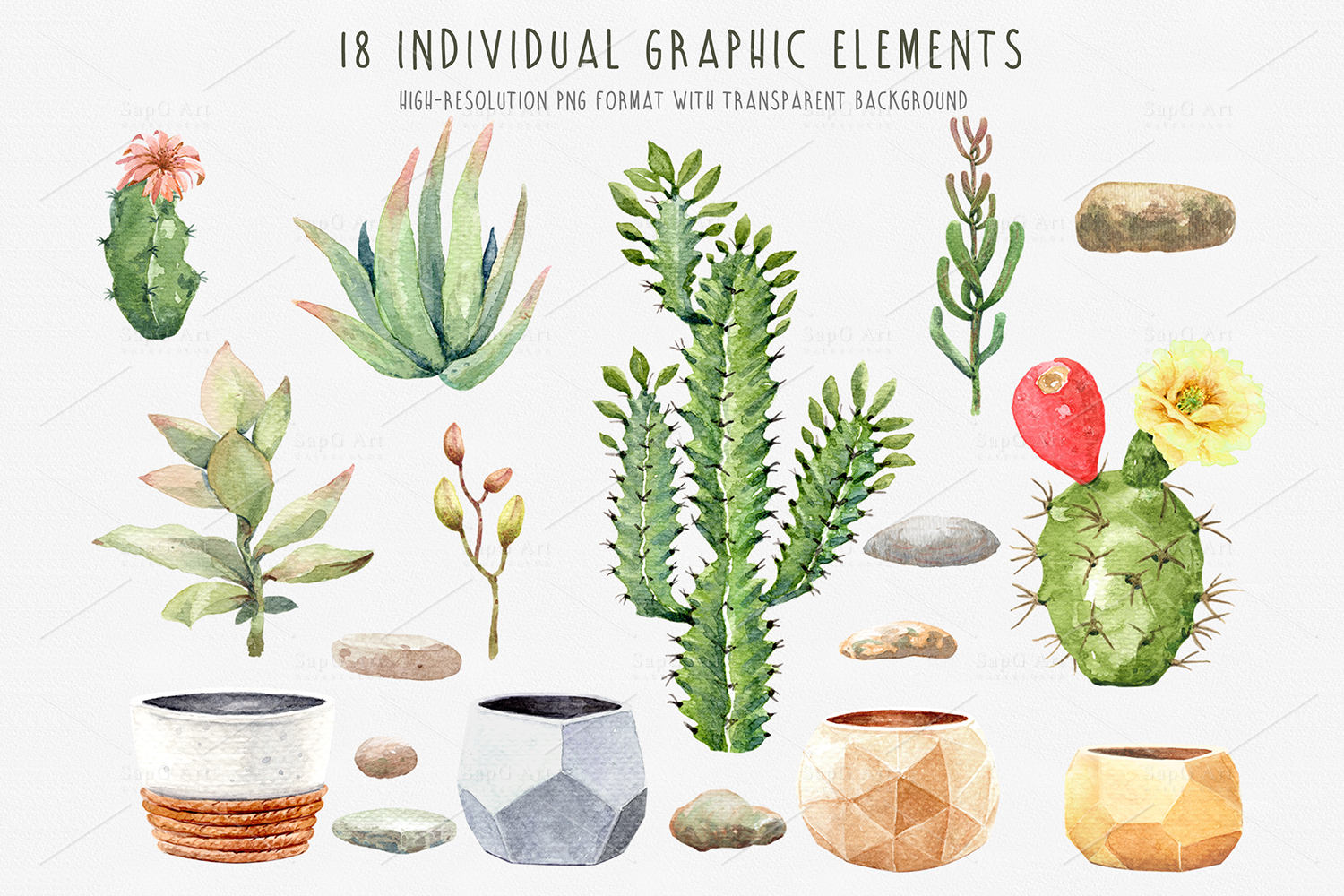 Watercolor Cactus Cacti Succulents with Pots Vol.3 (355384 ...