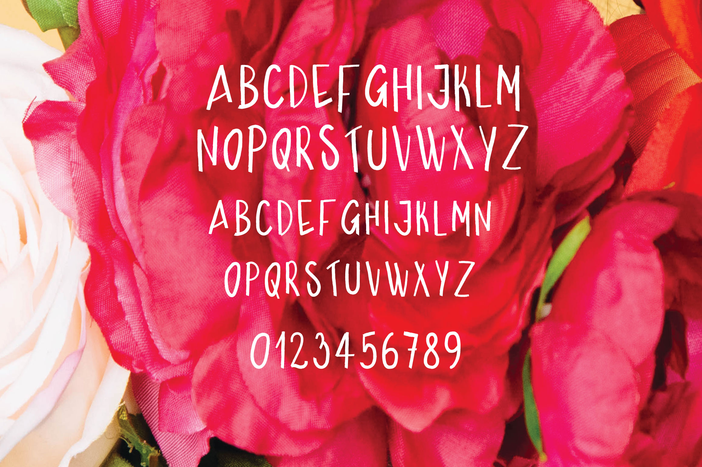 Bolden | Sans Serif Font (21337) | Regular | Font Bundles